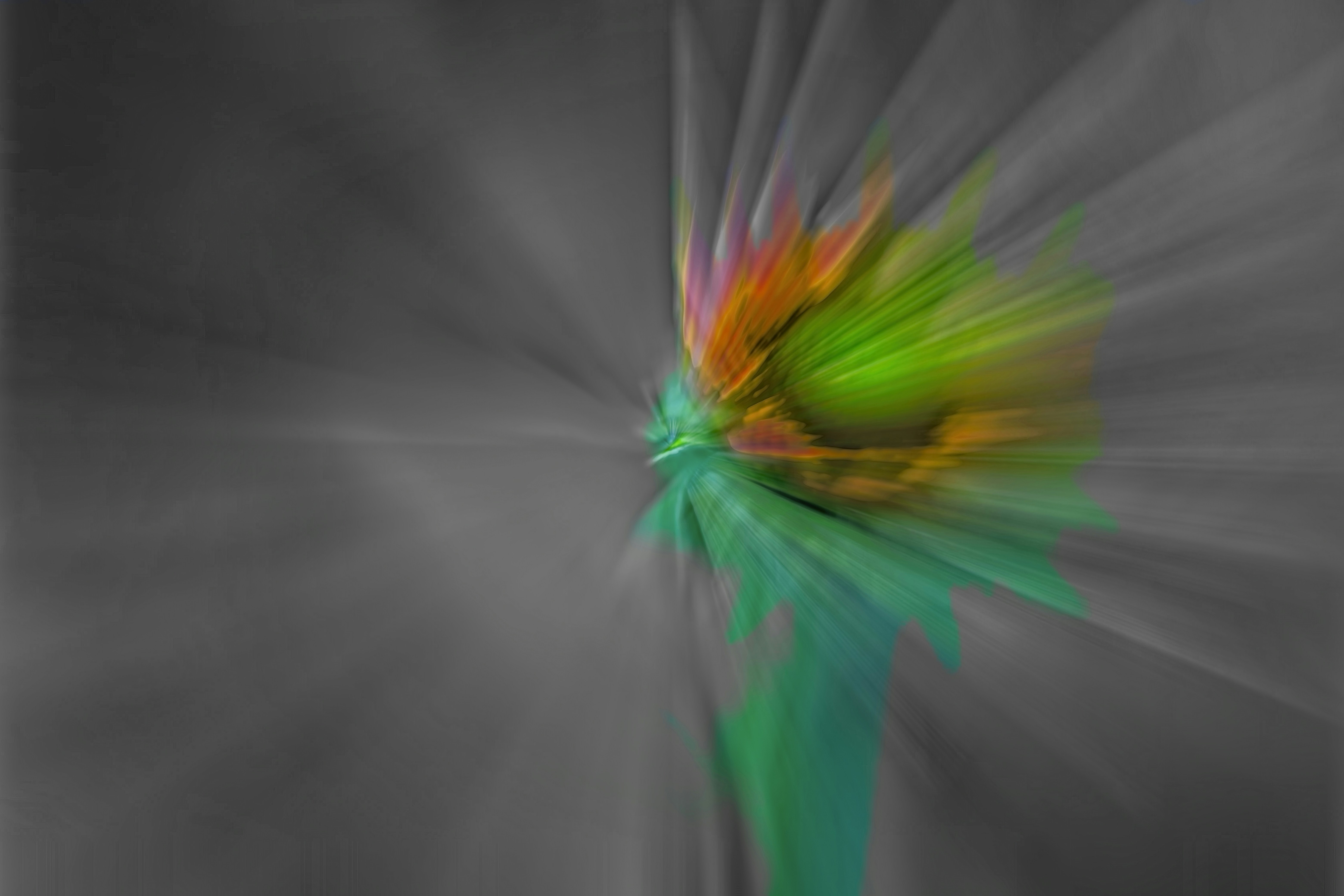 Neon Bloom in a Shutter Spiral
