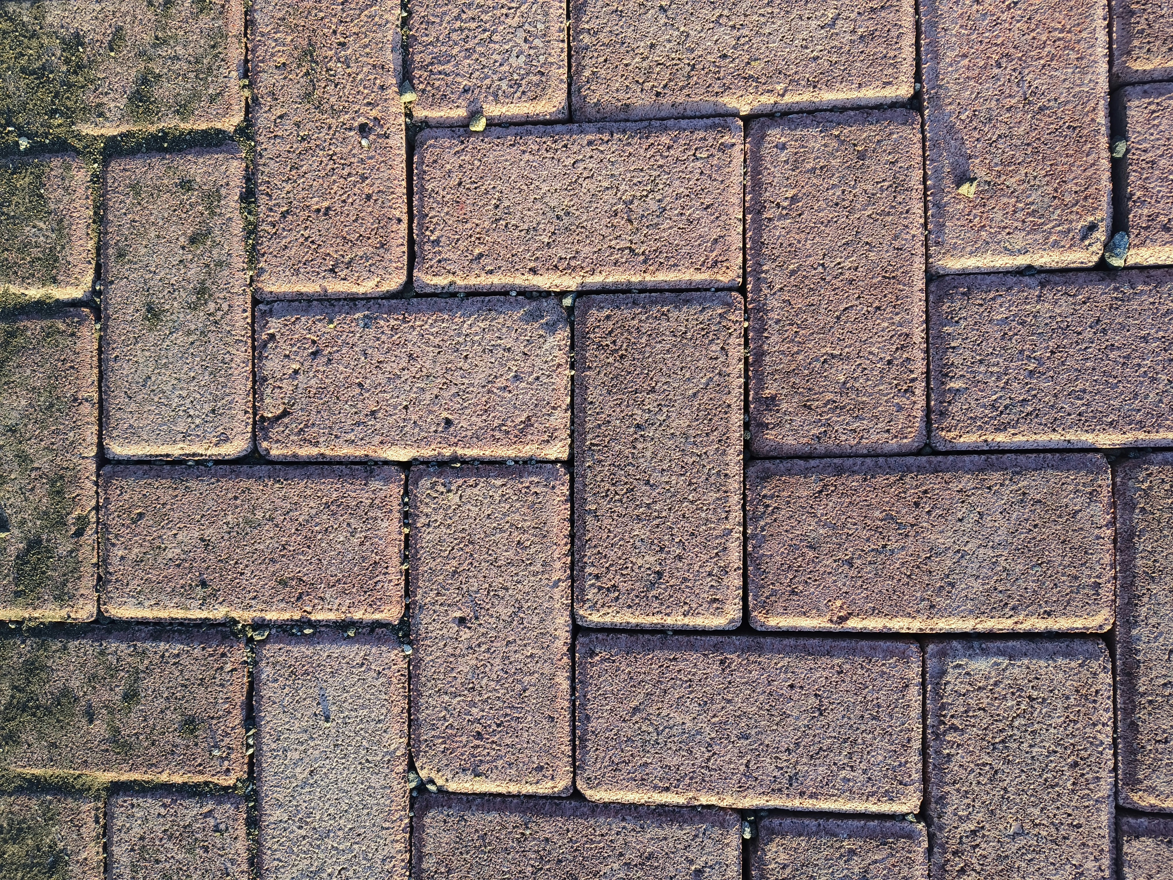 A close up view of a brick sidewalk photo – Free Background Image on ...