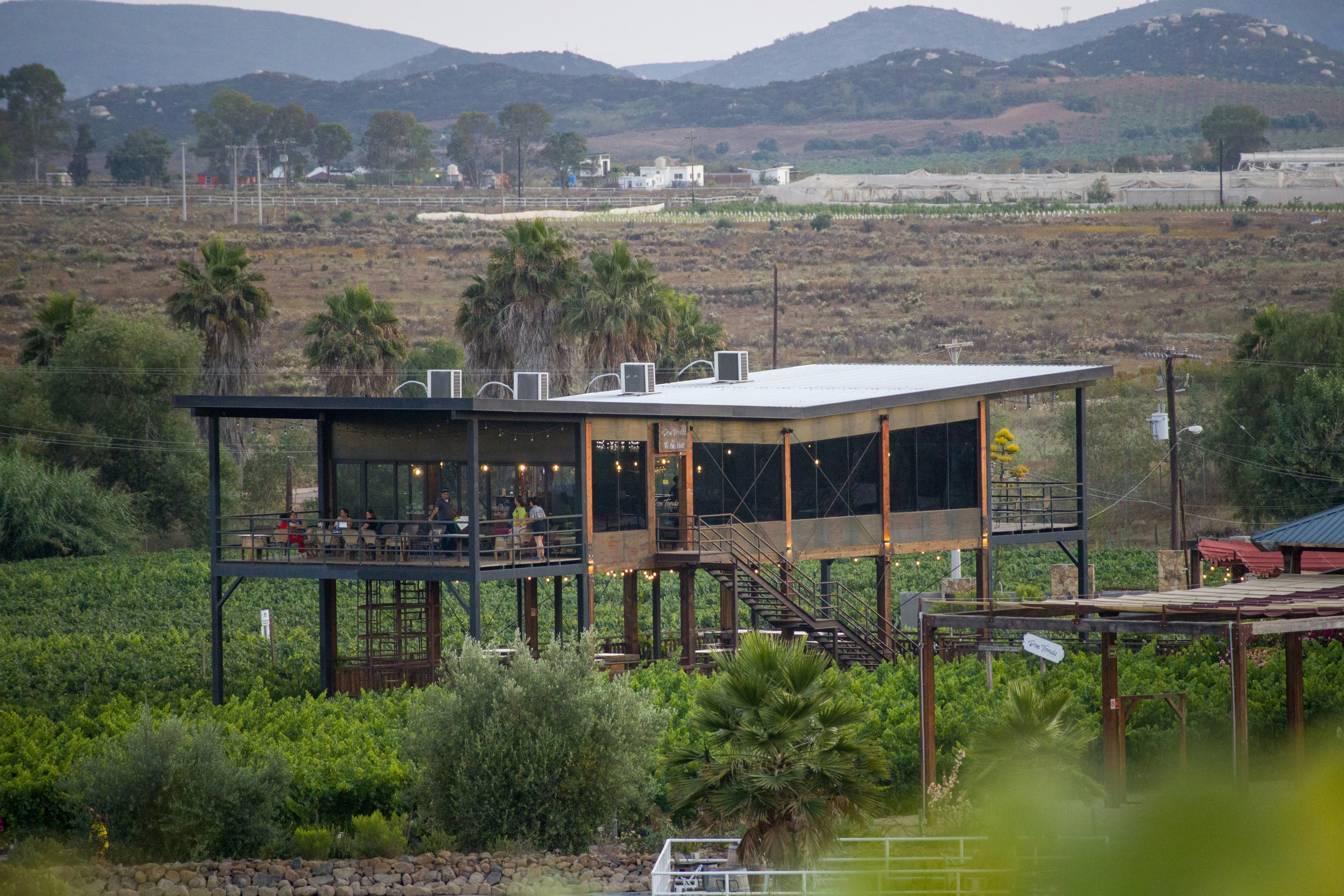 Stilted Veranda Above the Plain: A Glass-Walled Café