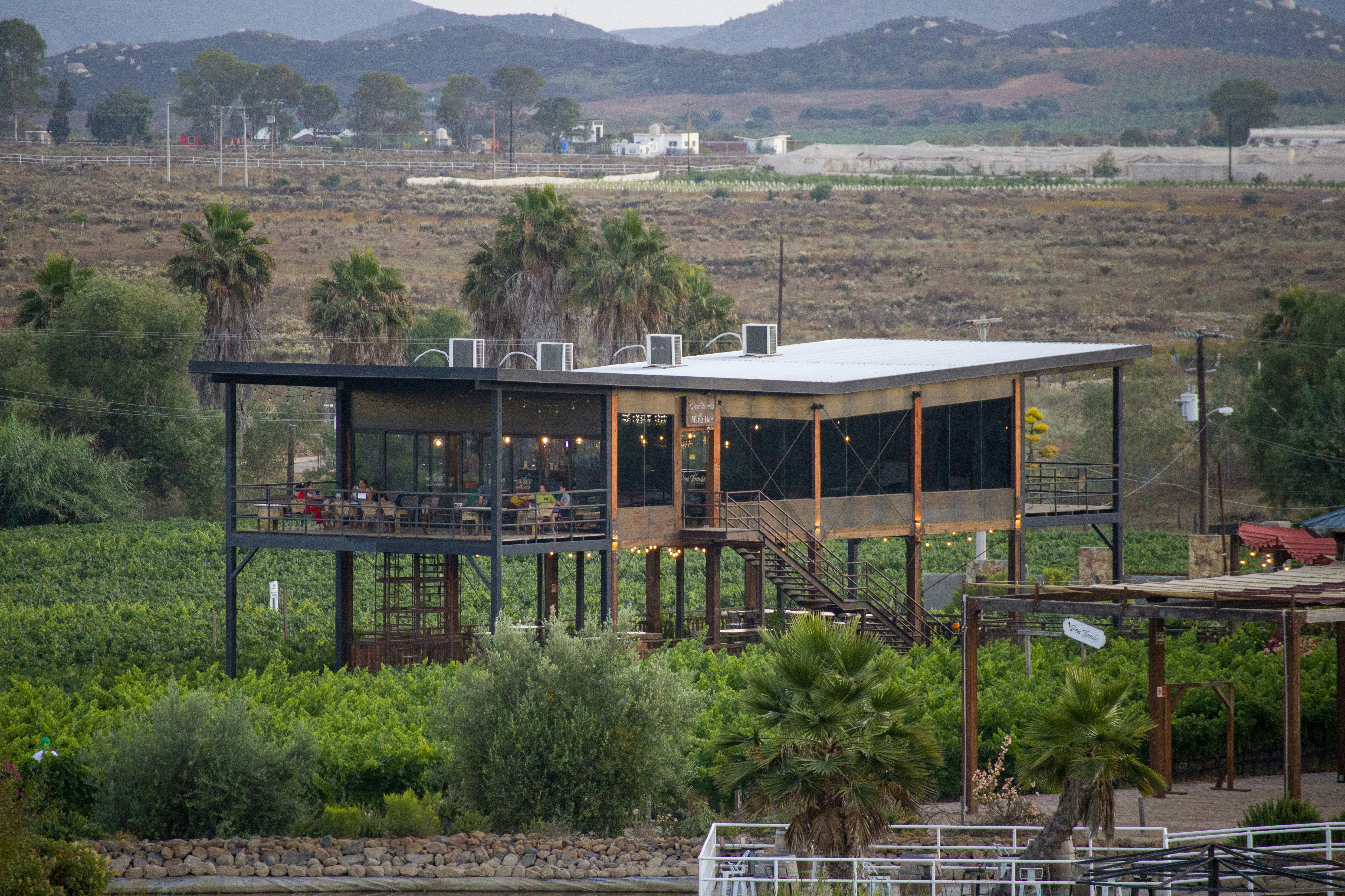Elevated Vineyard Retreat Amidst Rolling Hills