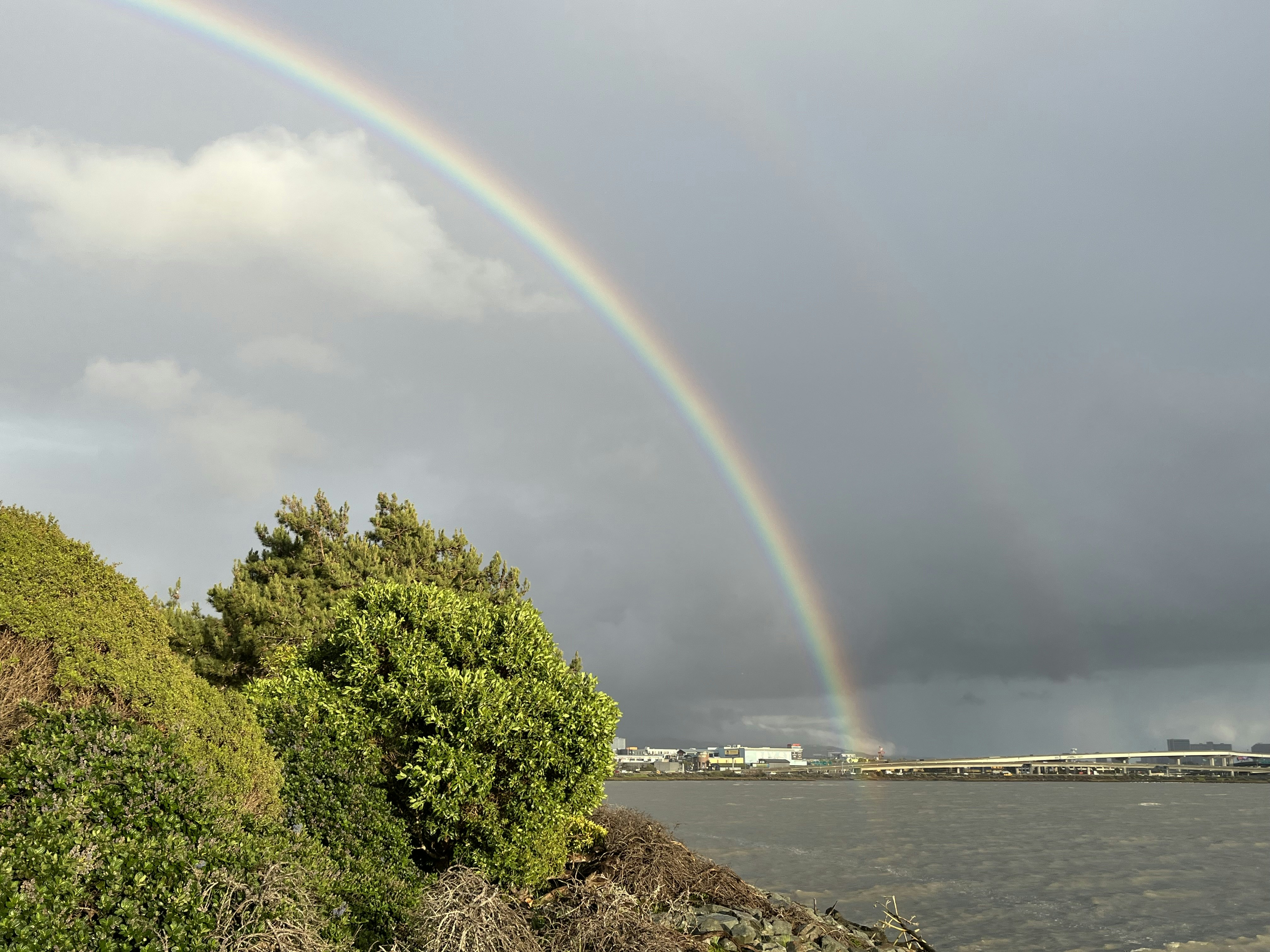 Vivid rainbow arching across a cloudy sky, framed by lush greenery along the shoreline.