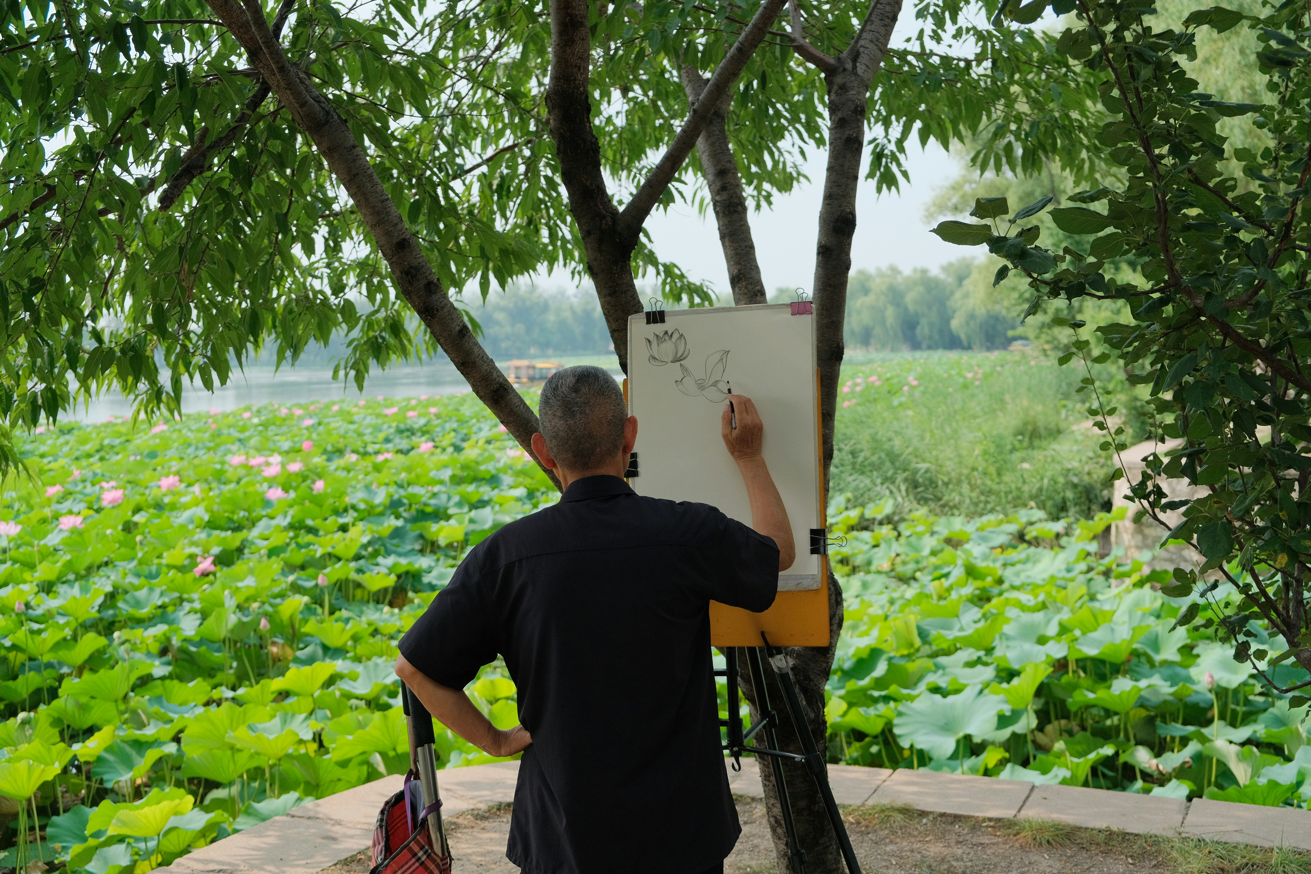 Field Painter: Sketching a Landscape from the Riverbank