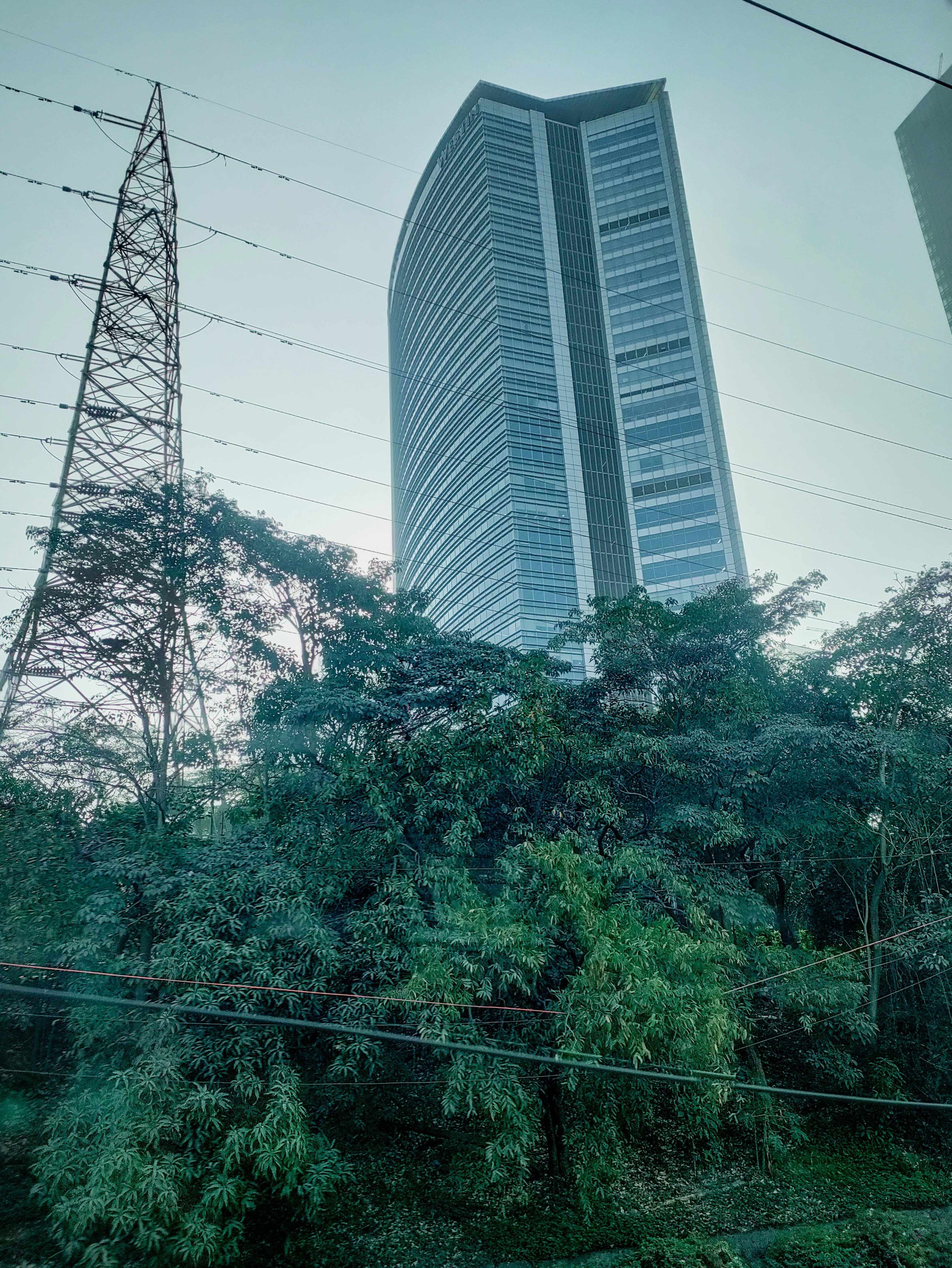 Tall glass-clad skyscraper rises behind dense trees with power lines crossing the frame. The image emphasizes the contrast between urban architecture and lush greenery.