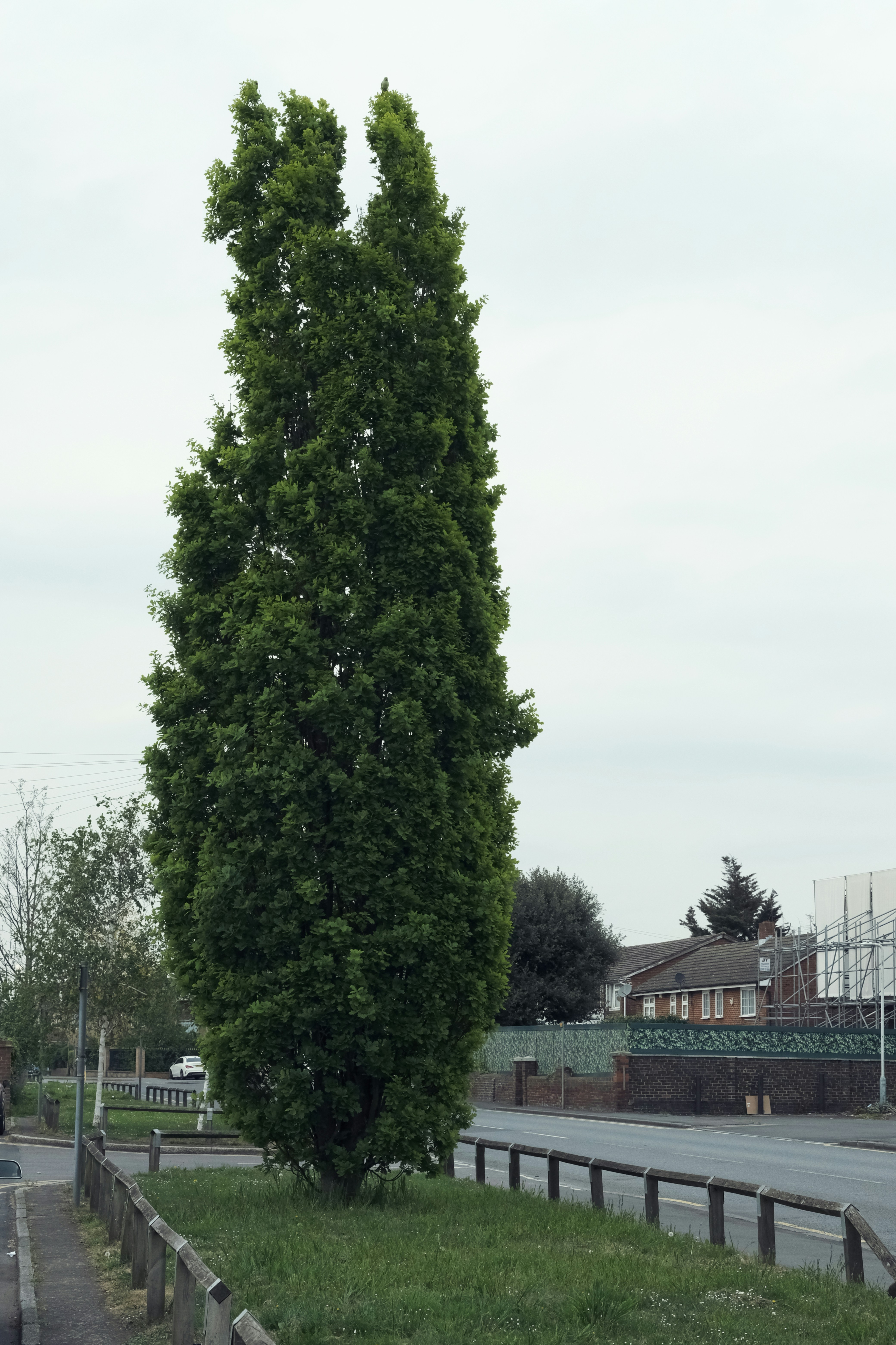 Photo by Suraj Tomer with Fujifilm X-T4