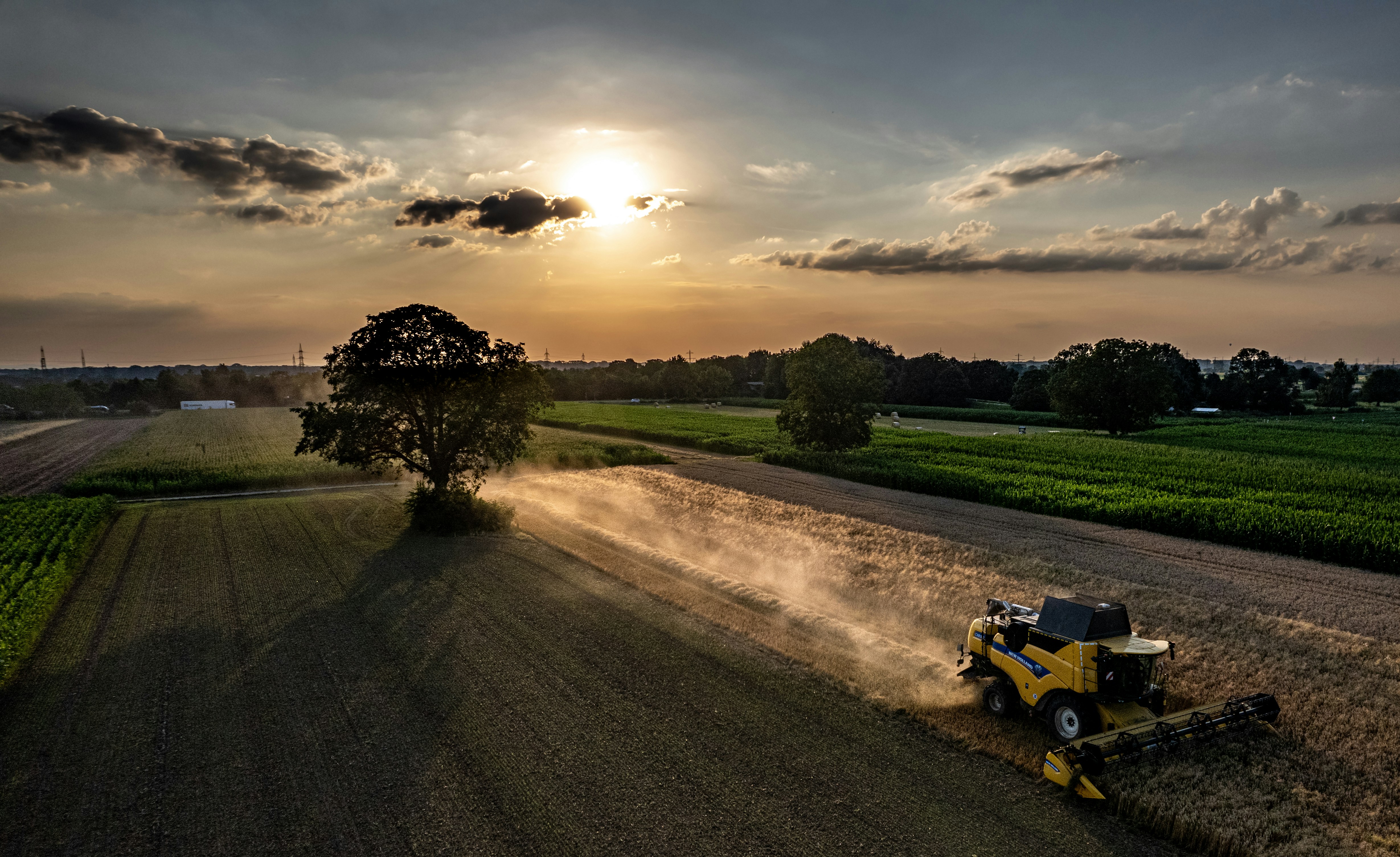 Dust Trail and Lone Tree: Golden Hour Harvest from Above