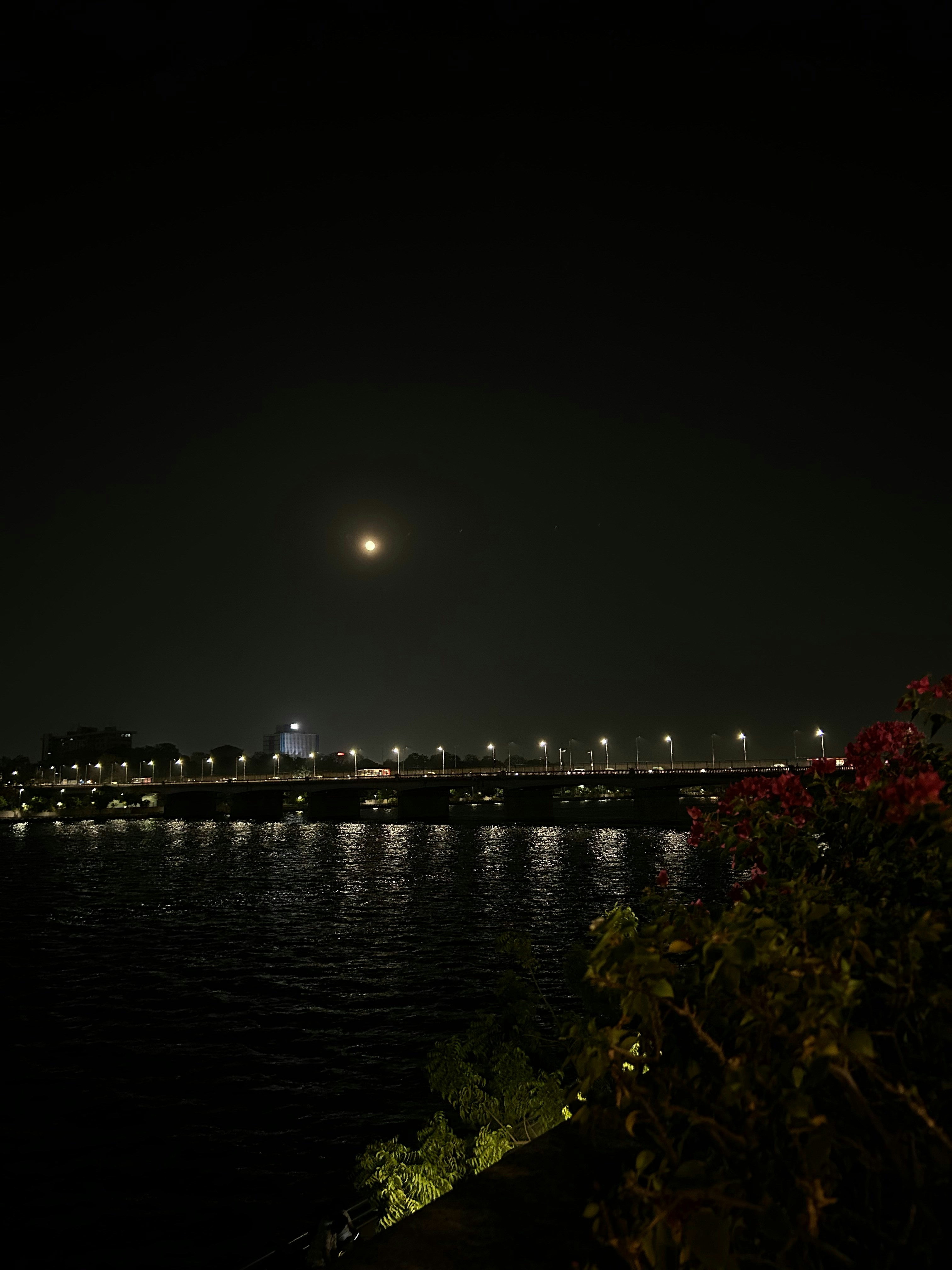 A li’l lost, a li’l found!✨