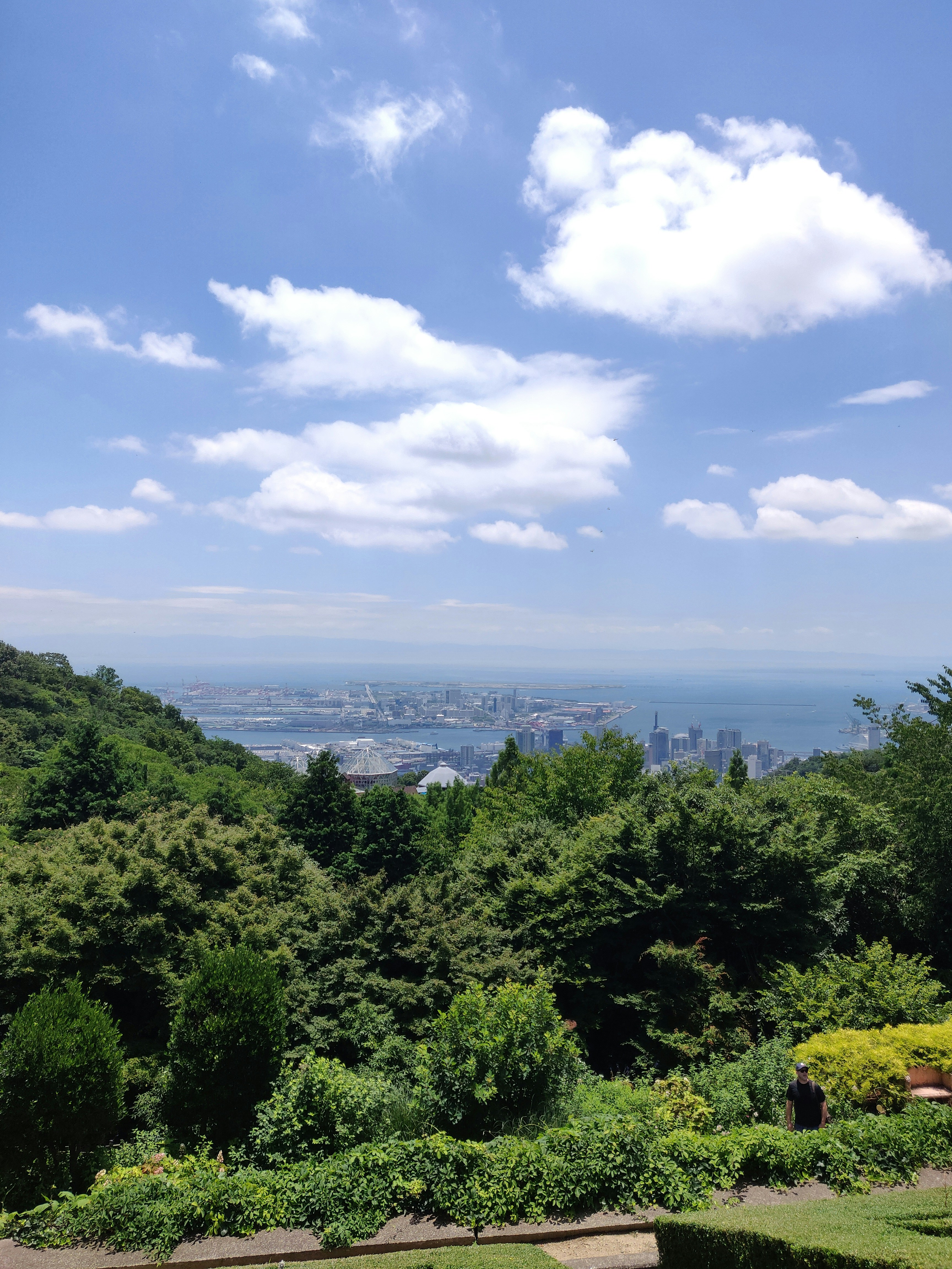 City Beyond the Pines: A Quiet Terrace Overlooking the Harbor