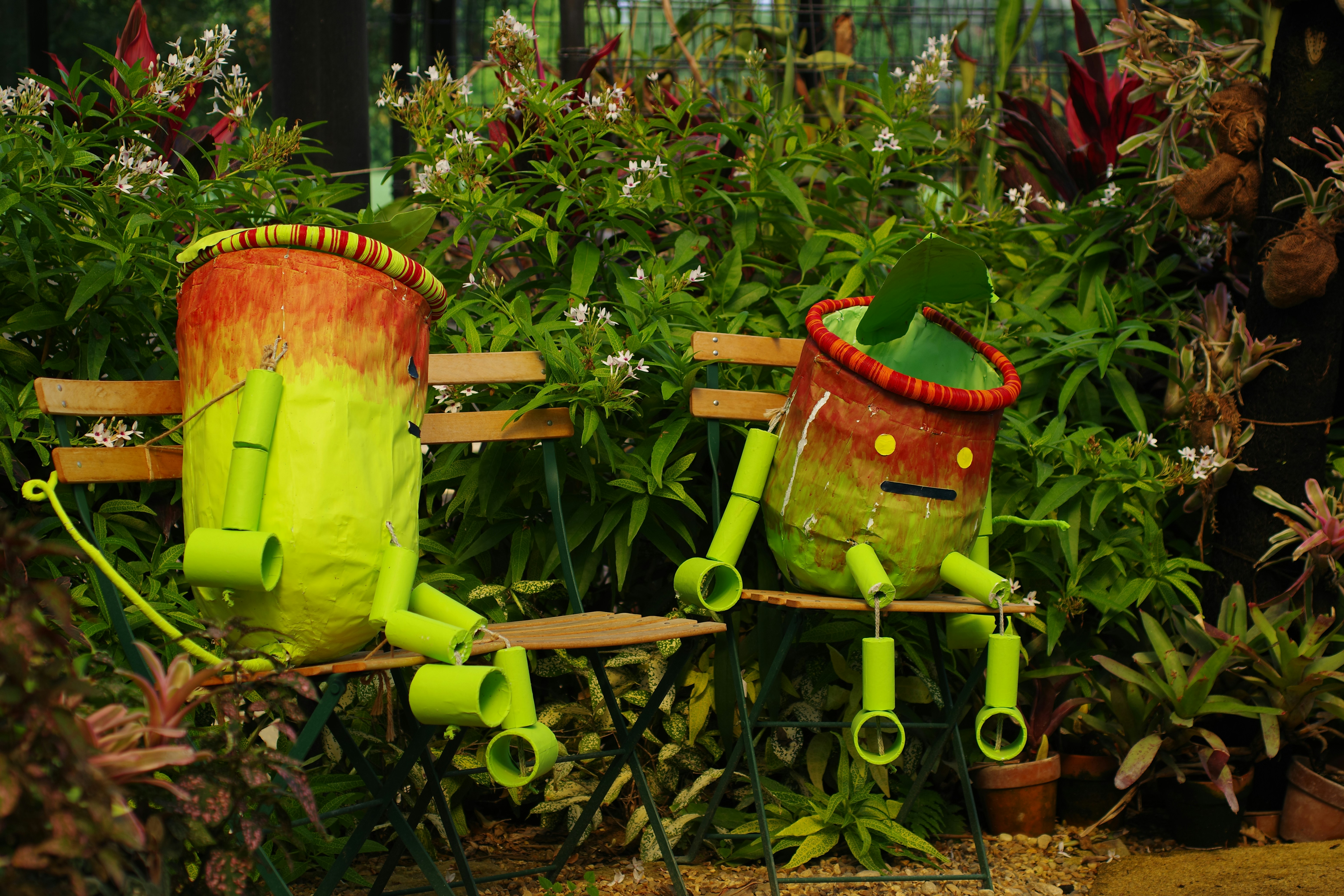 A couple of green plants sitting on top of a wooden bench photo – Free ...
