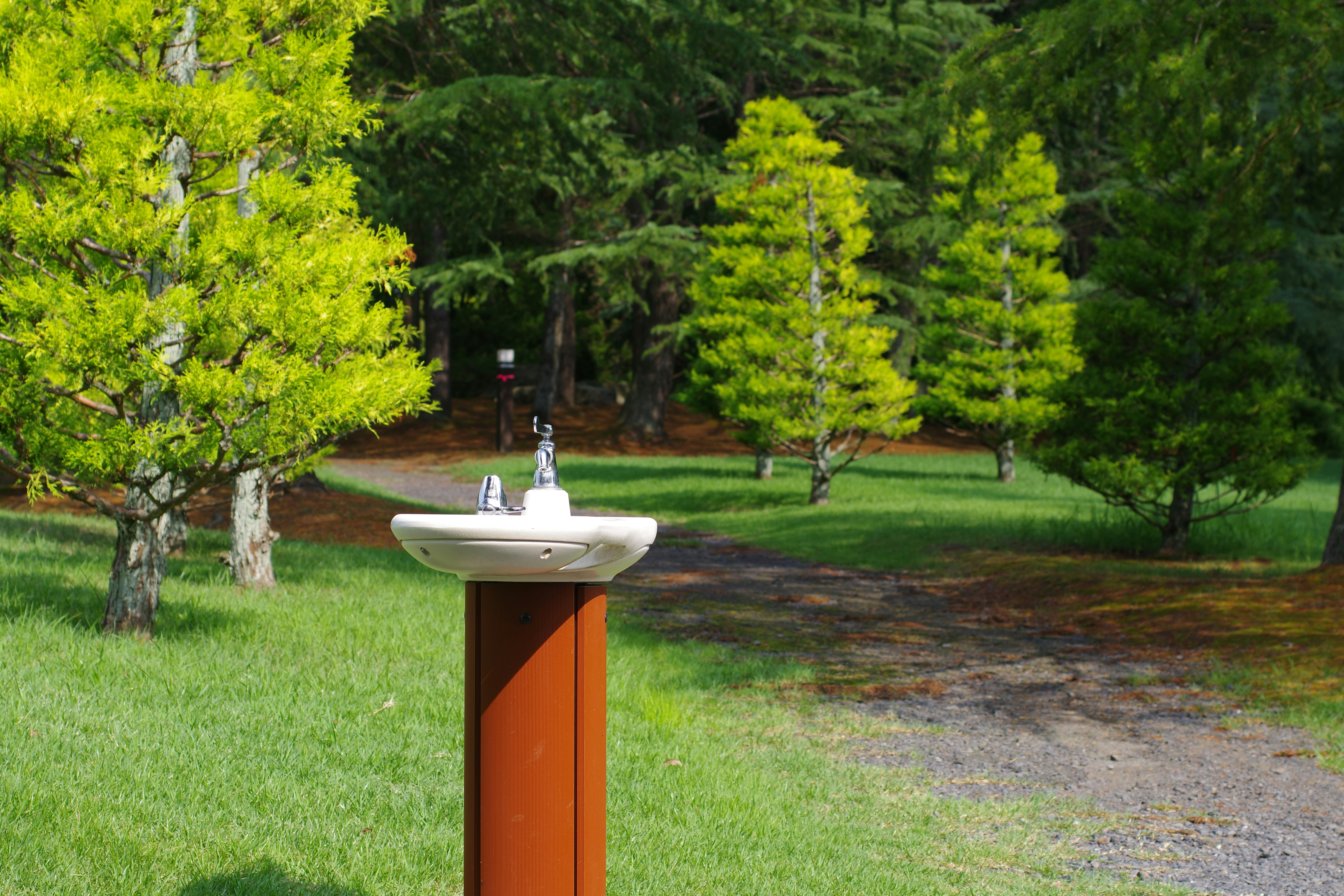 Sunlit Park Fountain on a Reddish Pedestal, Framed by a Lush Canopy