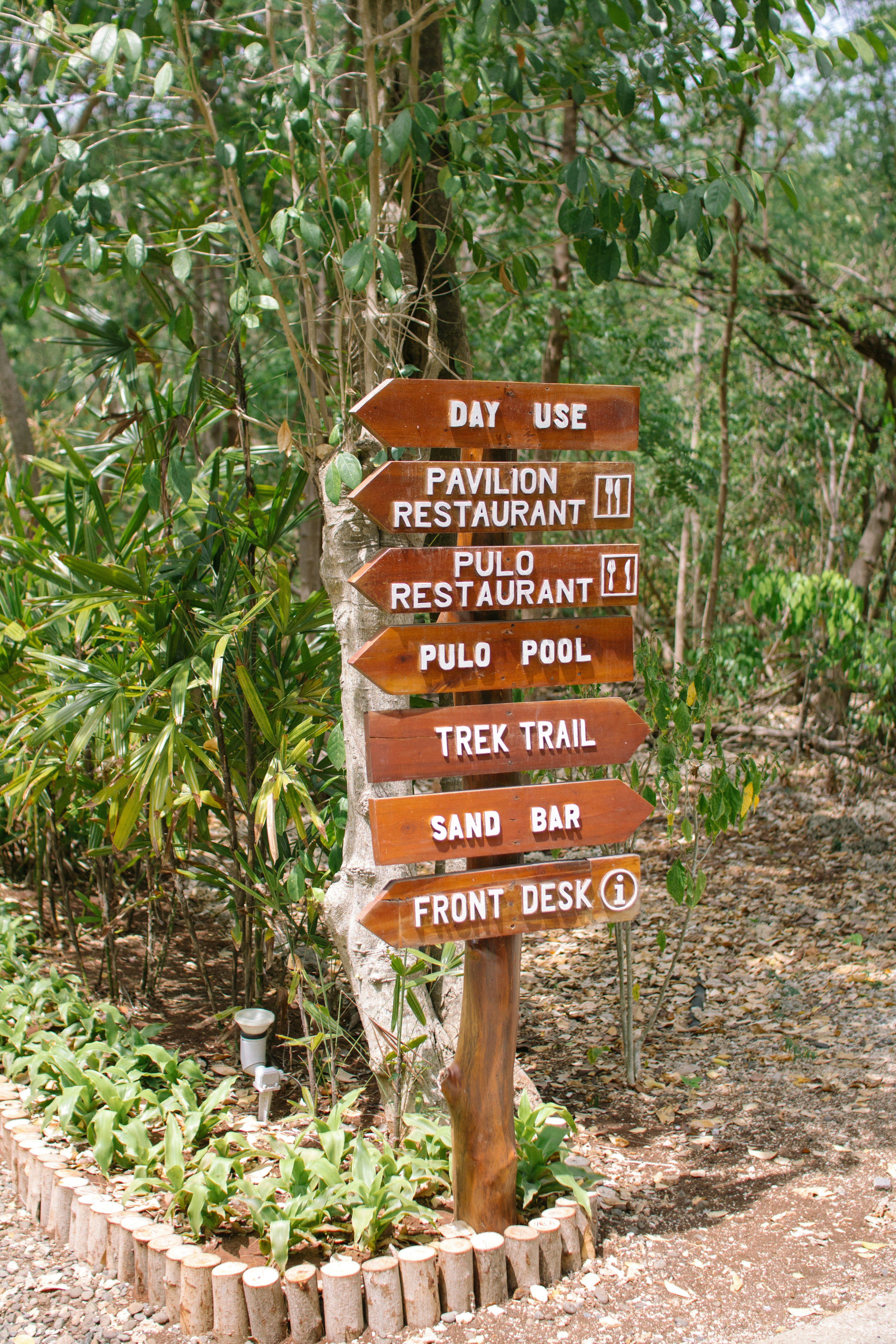 Forest Signpost: Day-Use Pathways in a Green Retreat