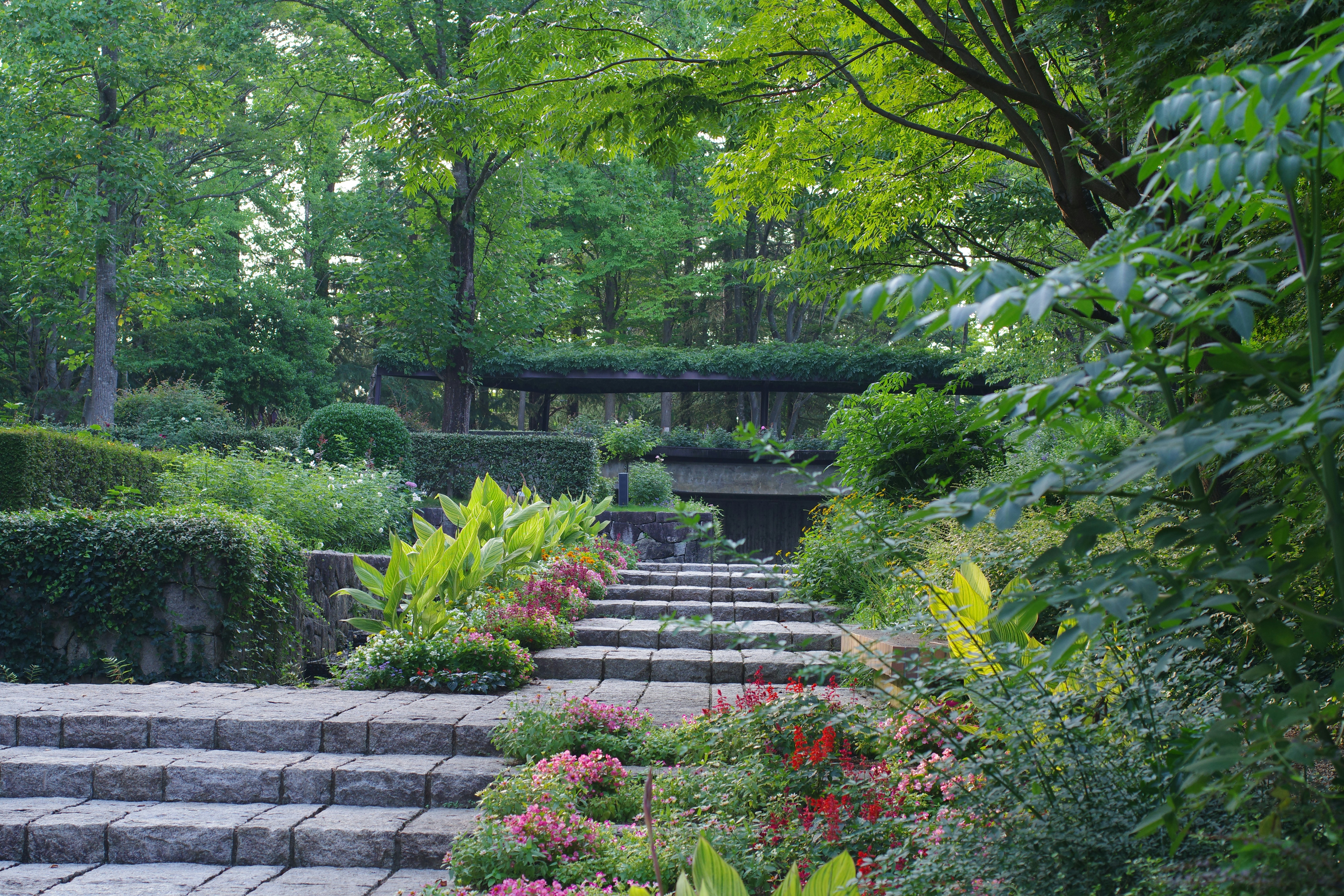 A bunch of steps that are in a garden photo – Free Beautiful scenery of ...