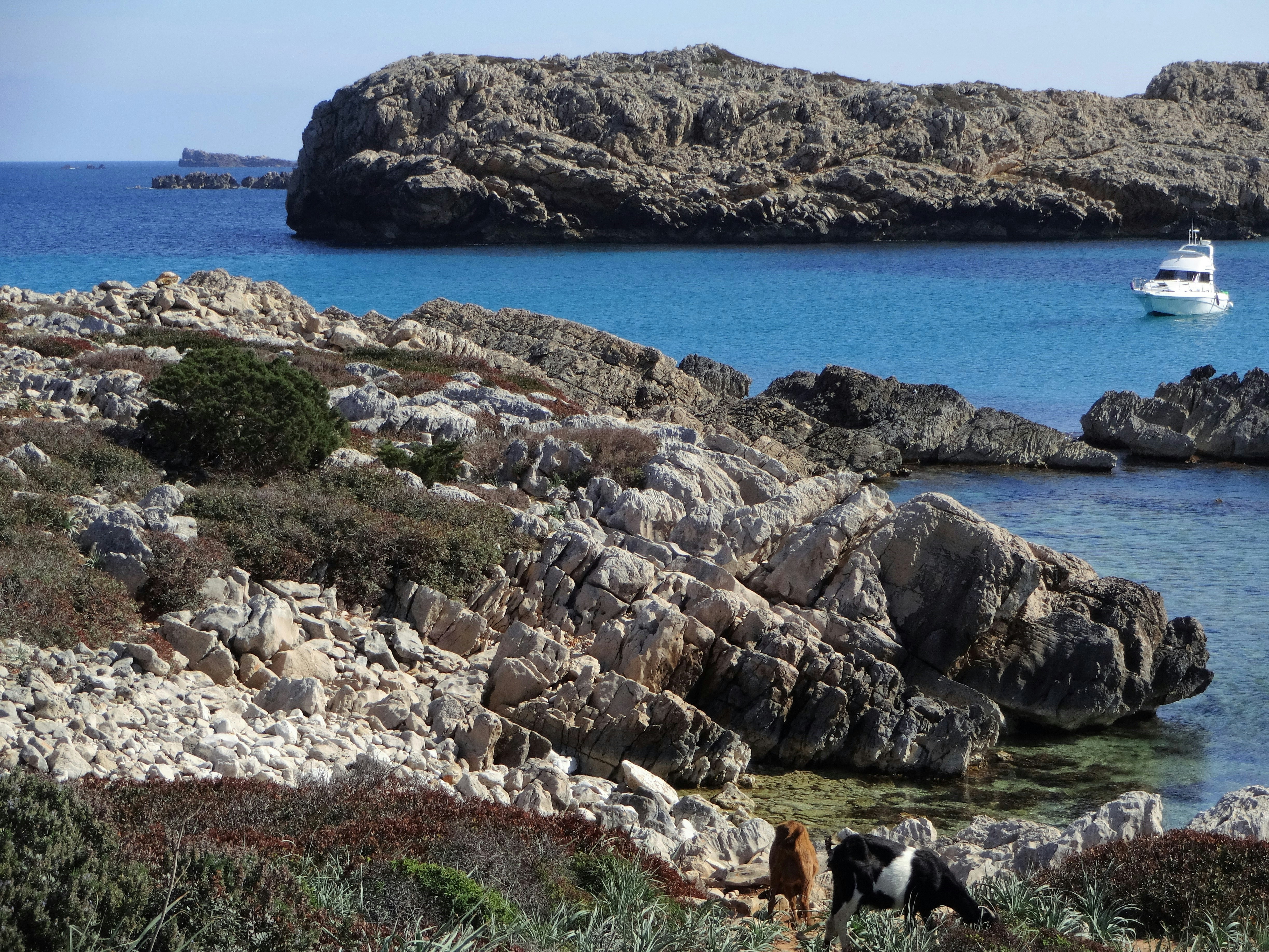 Photo by Roving Wanders with Sony Cyber-shot WX200