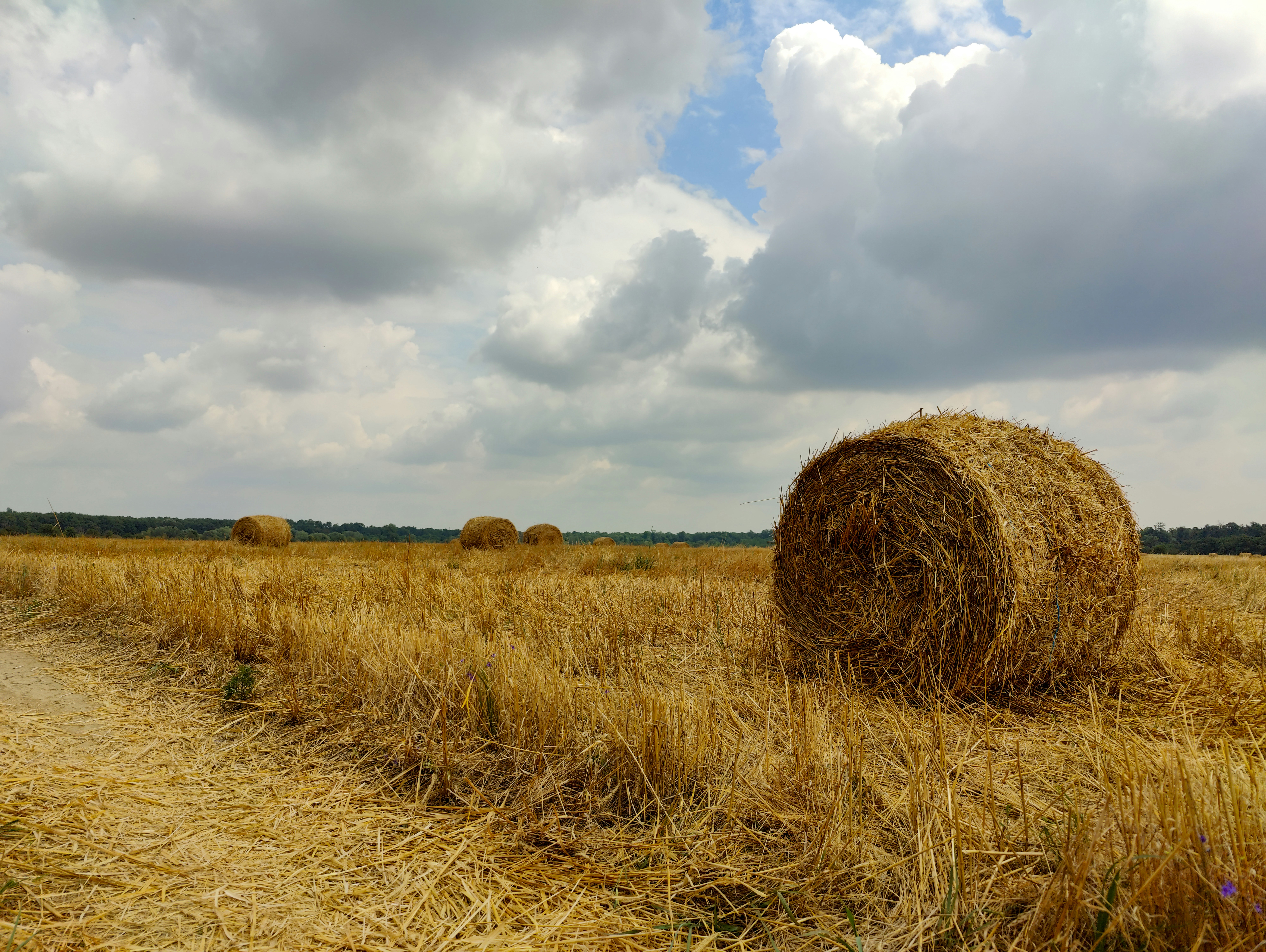 Photo by Eusebiu Soica with OnePlus 10 Pro