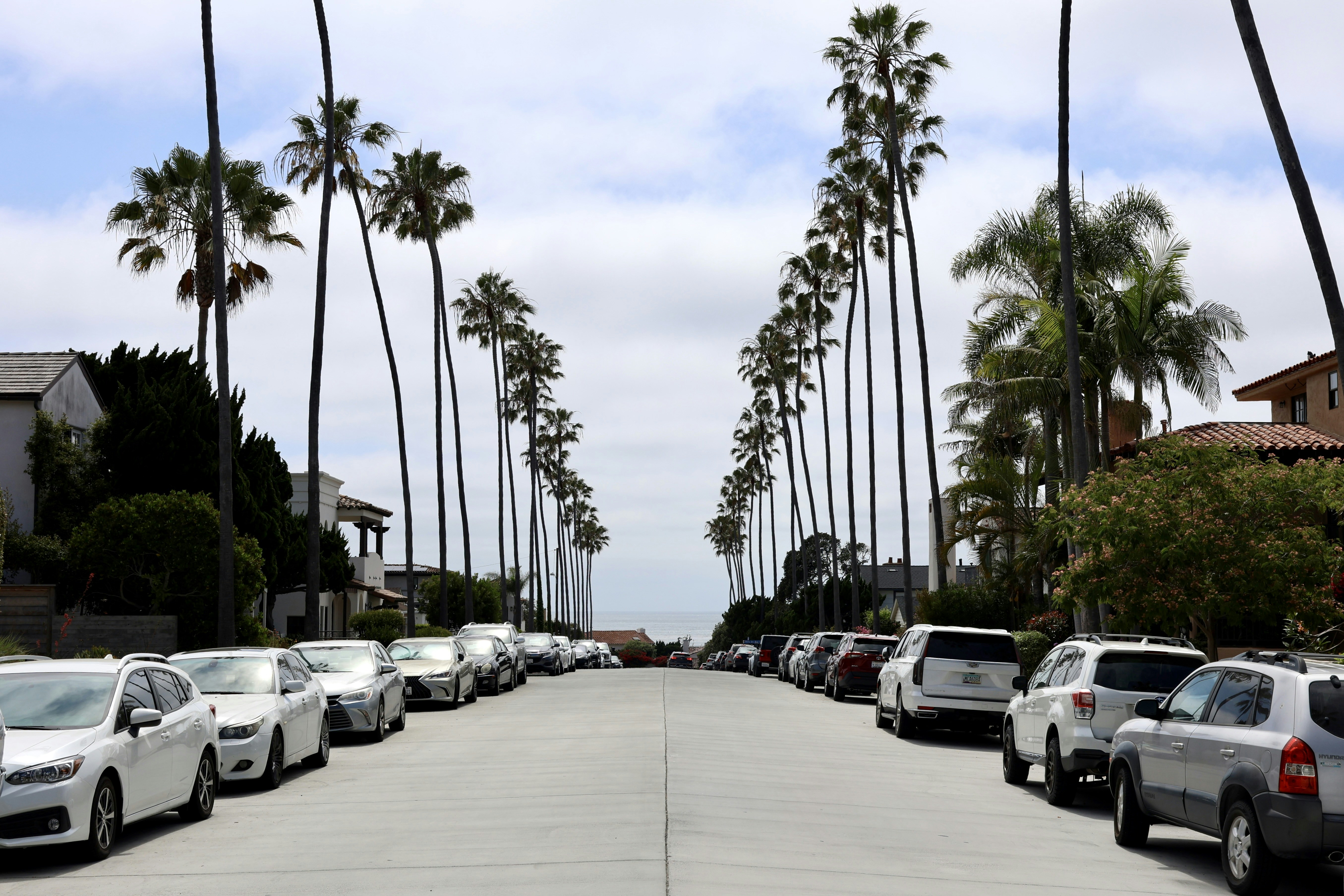 Palm-lined Avenue: A Quiet California Street Ahead