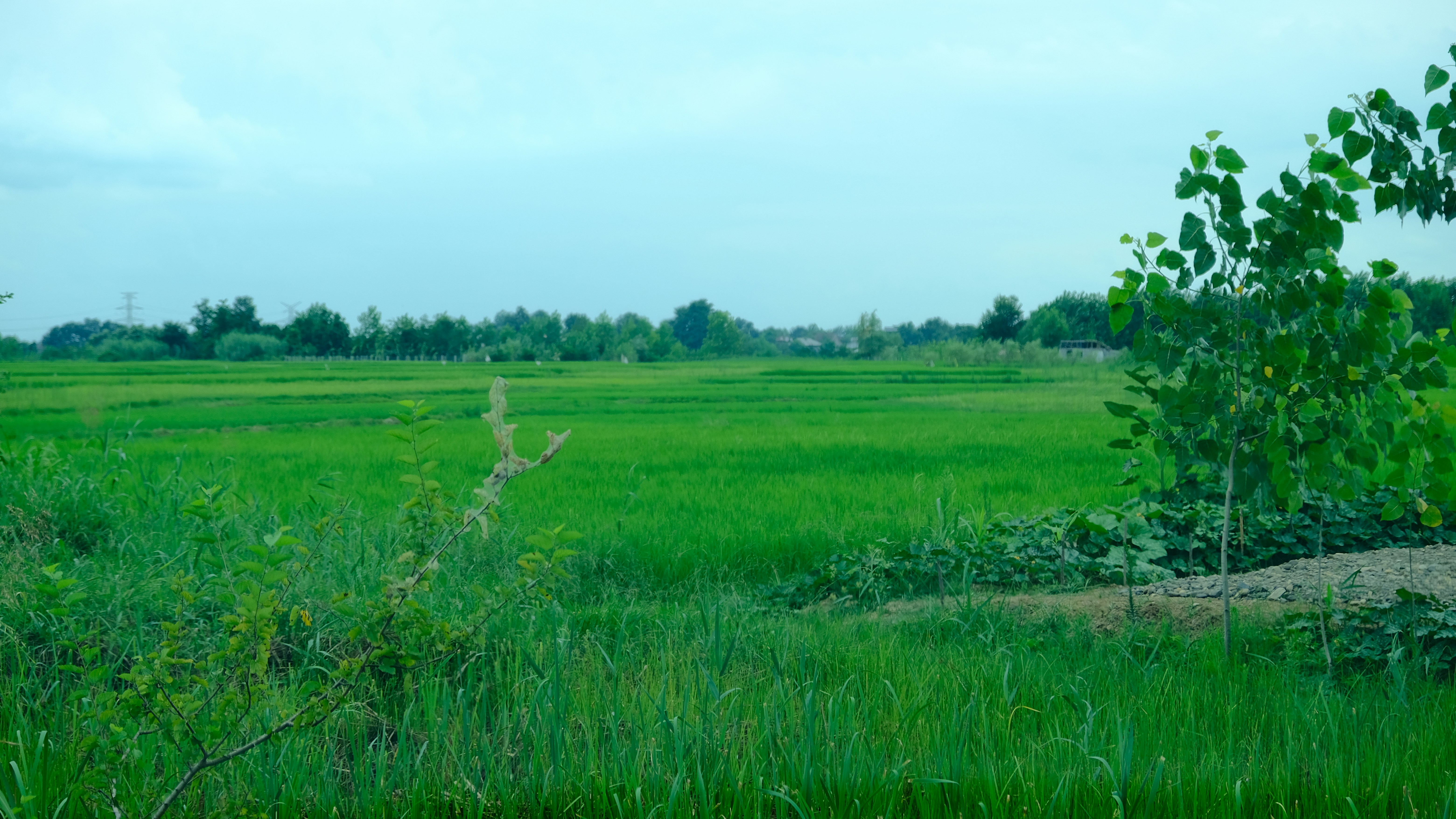 Photo by sina rezakhani with Fujifilm X-T4