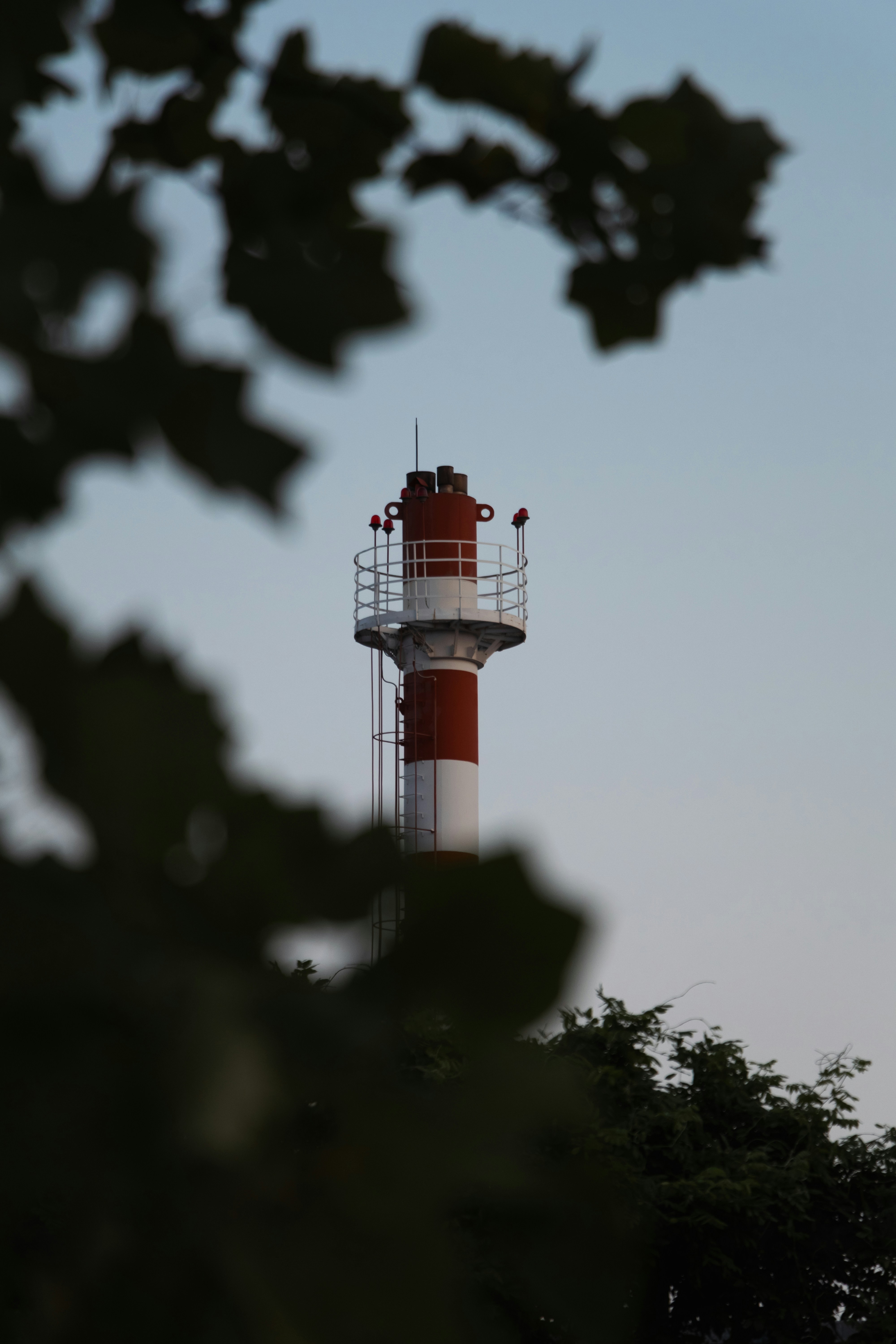Beacon Above the Canopy: A Dusk-lit Lighthouse Framed by Leaves