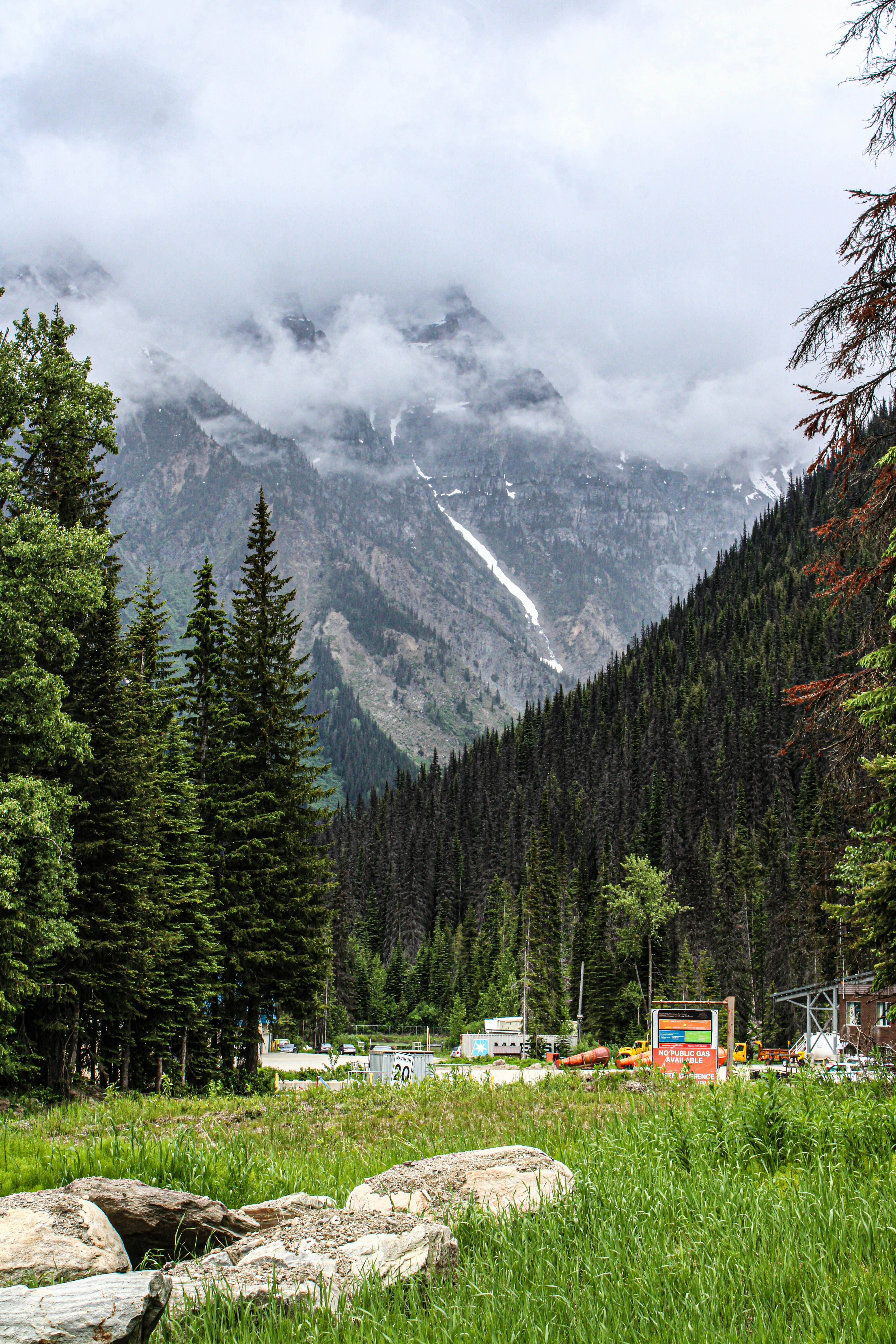 Pines at the Foot of Cloud-Wrapped Peaks