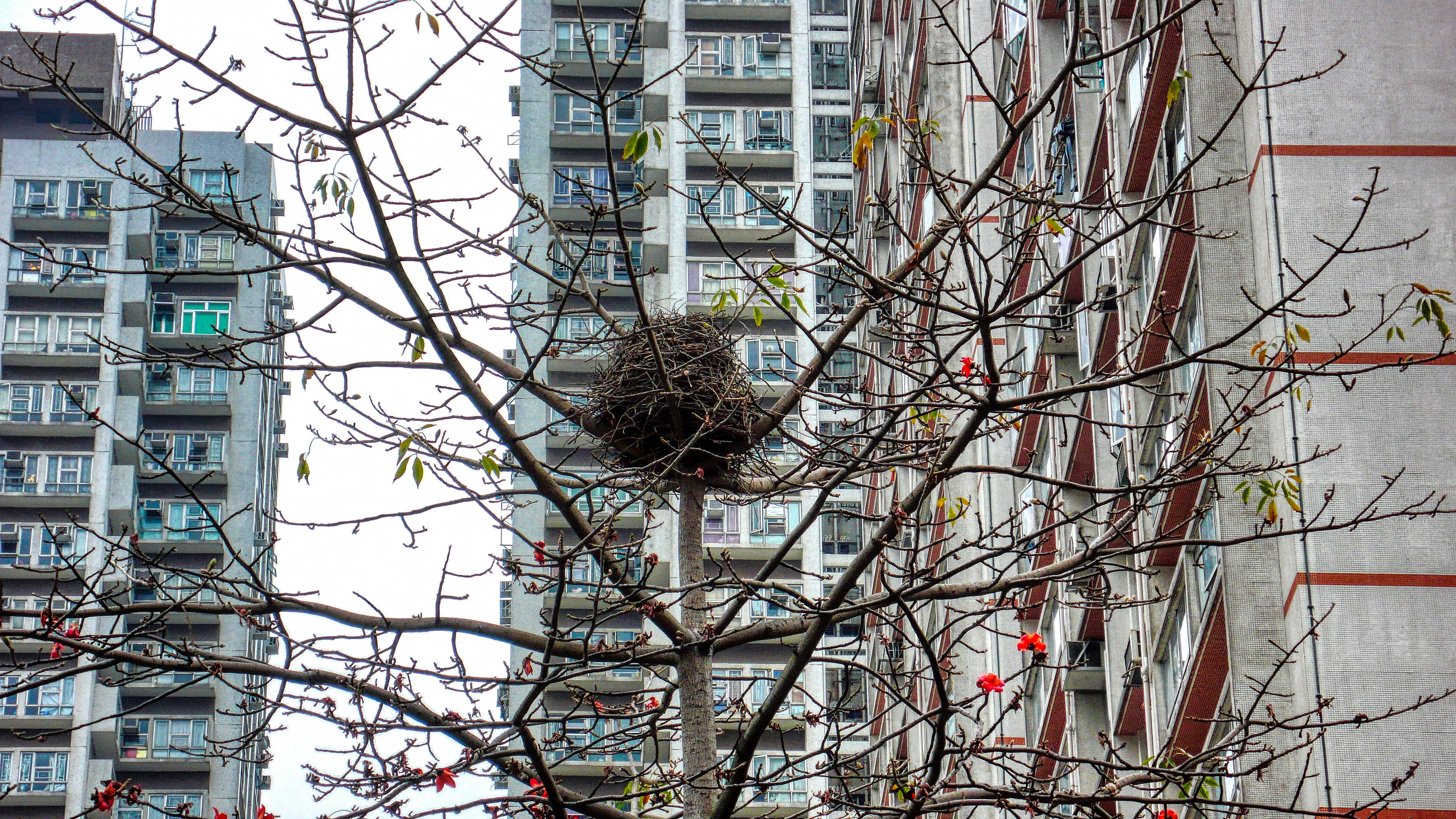 Photo by Thomas Kinto with Panasonic Lumix LX2