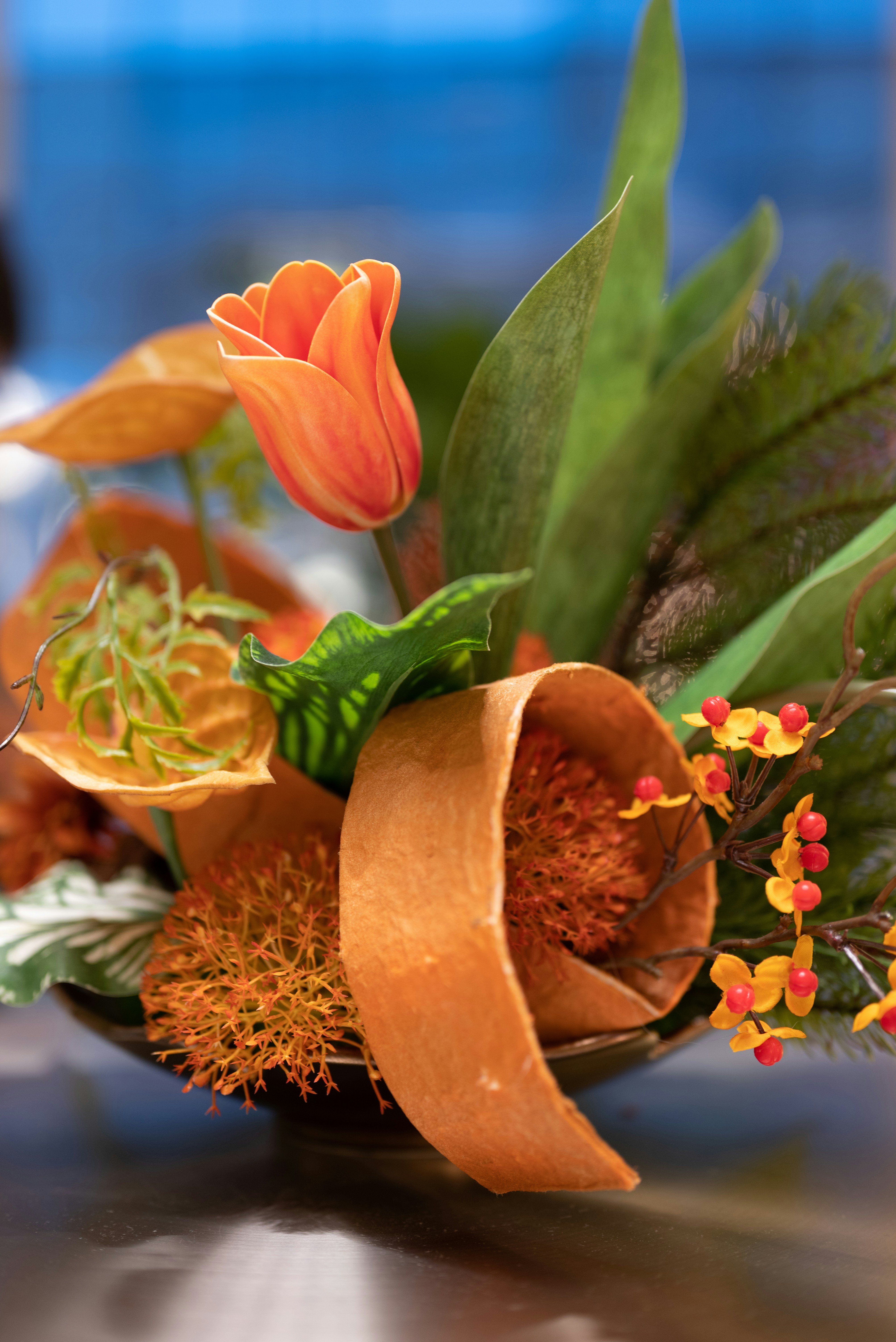 Orange Tulip Amid Autumn Echoes: A Close-Up Still Life