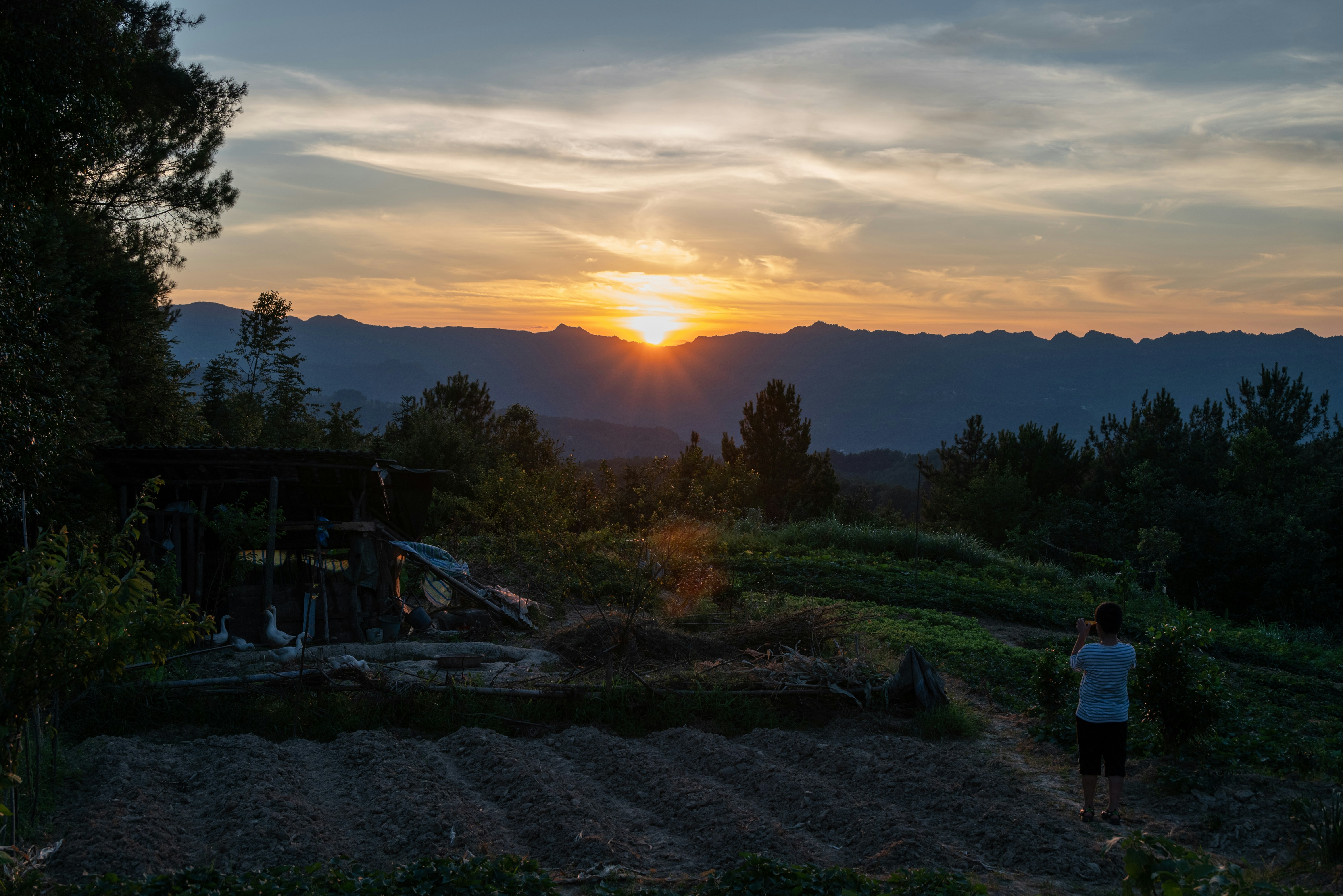 Sunset Over Terraced Fields: A Quiet Ridge View