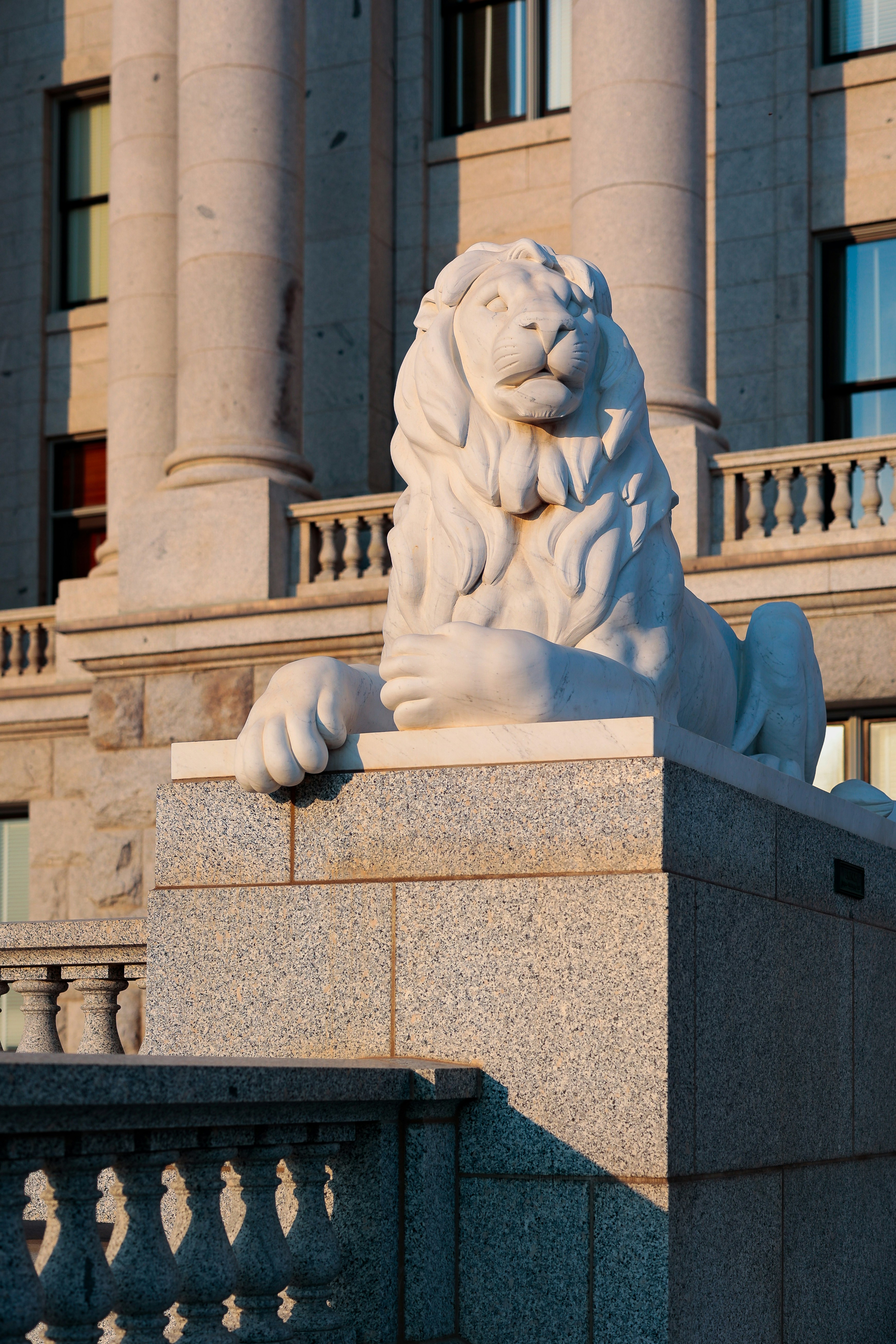 Guardians of Stone: A Lion Sentinel Watches the Steps