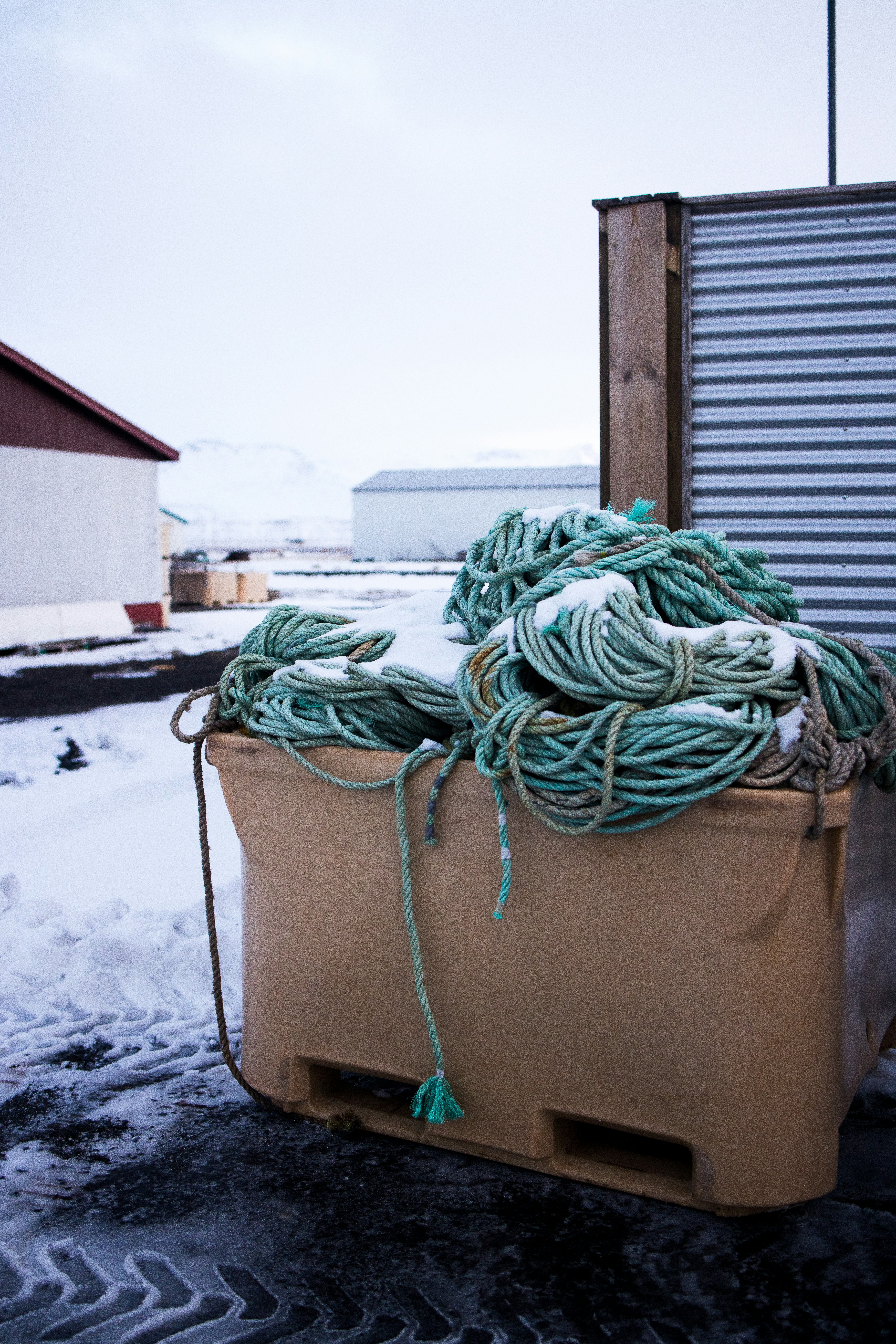 Photo by Alexandros Giannakakis with Canon EOS R5