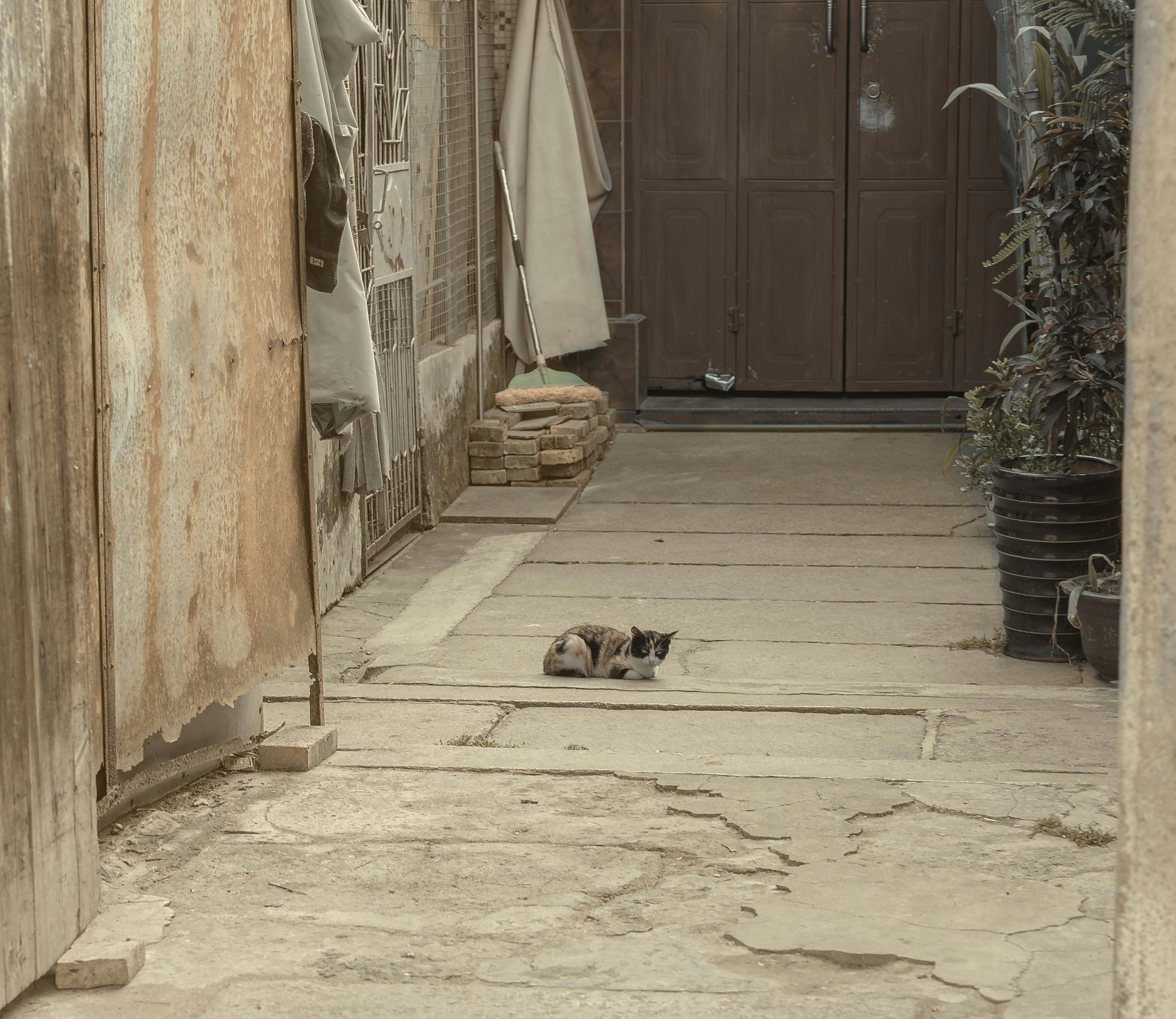 Photo by sky u with Nikon Z6 II