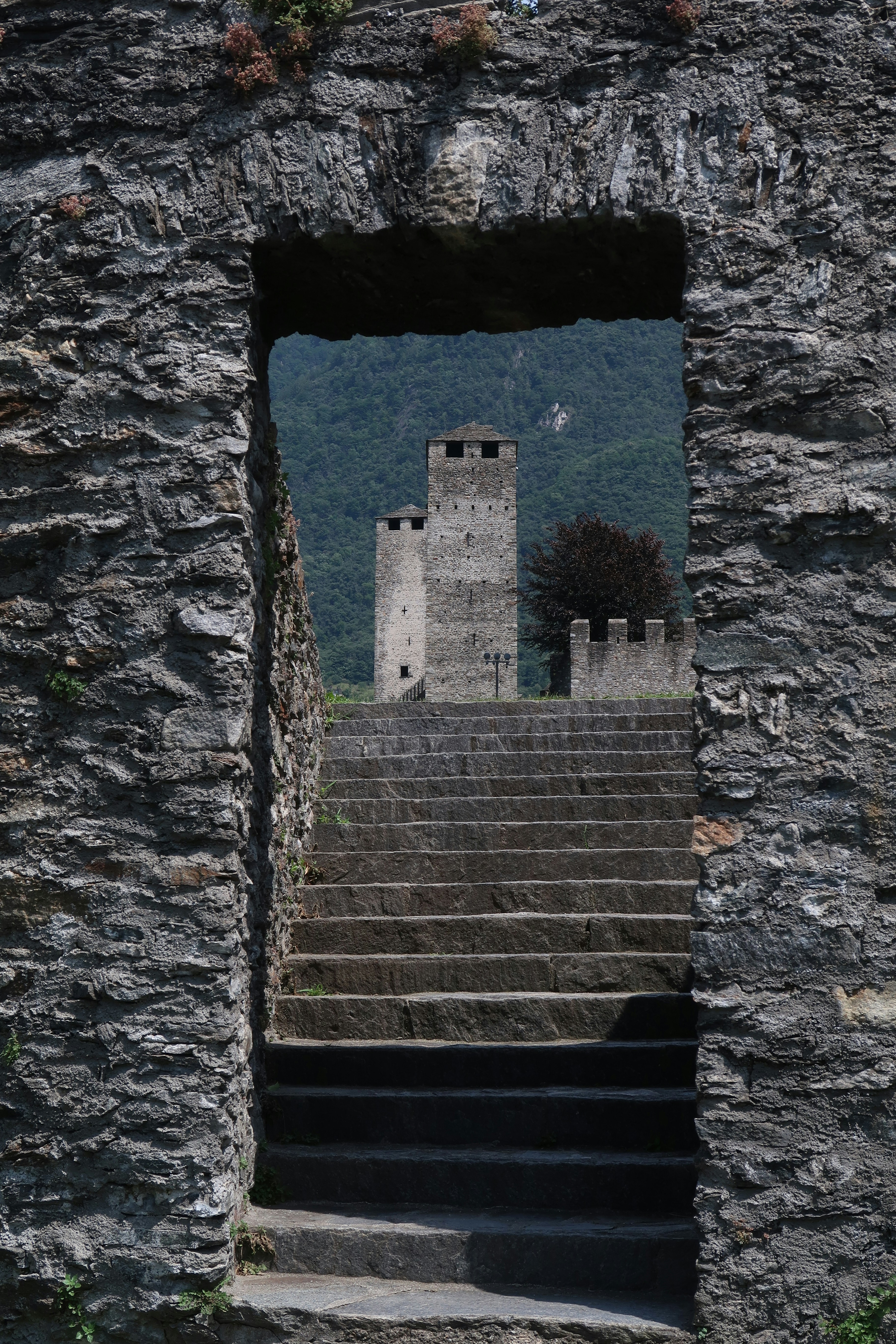 Stone Archway to the Quiet Keep: Steps Toward a Distant Fortress