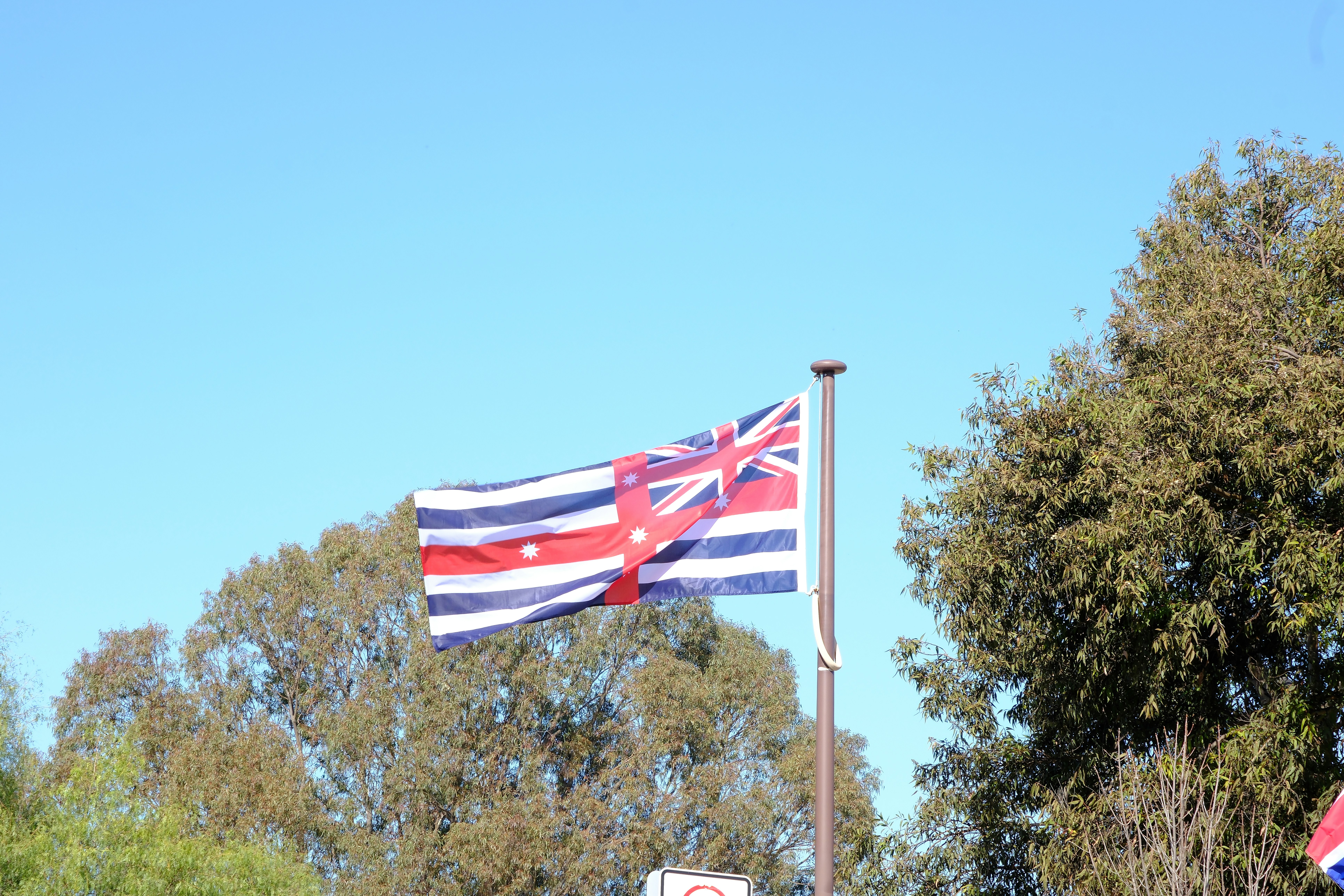 Two flags flying next to each other near trees photo – Free American ...