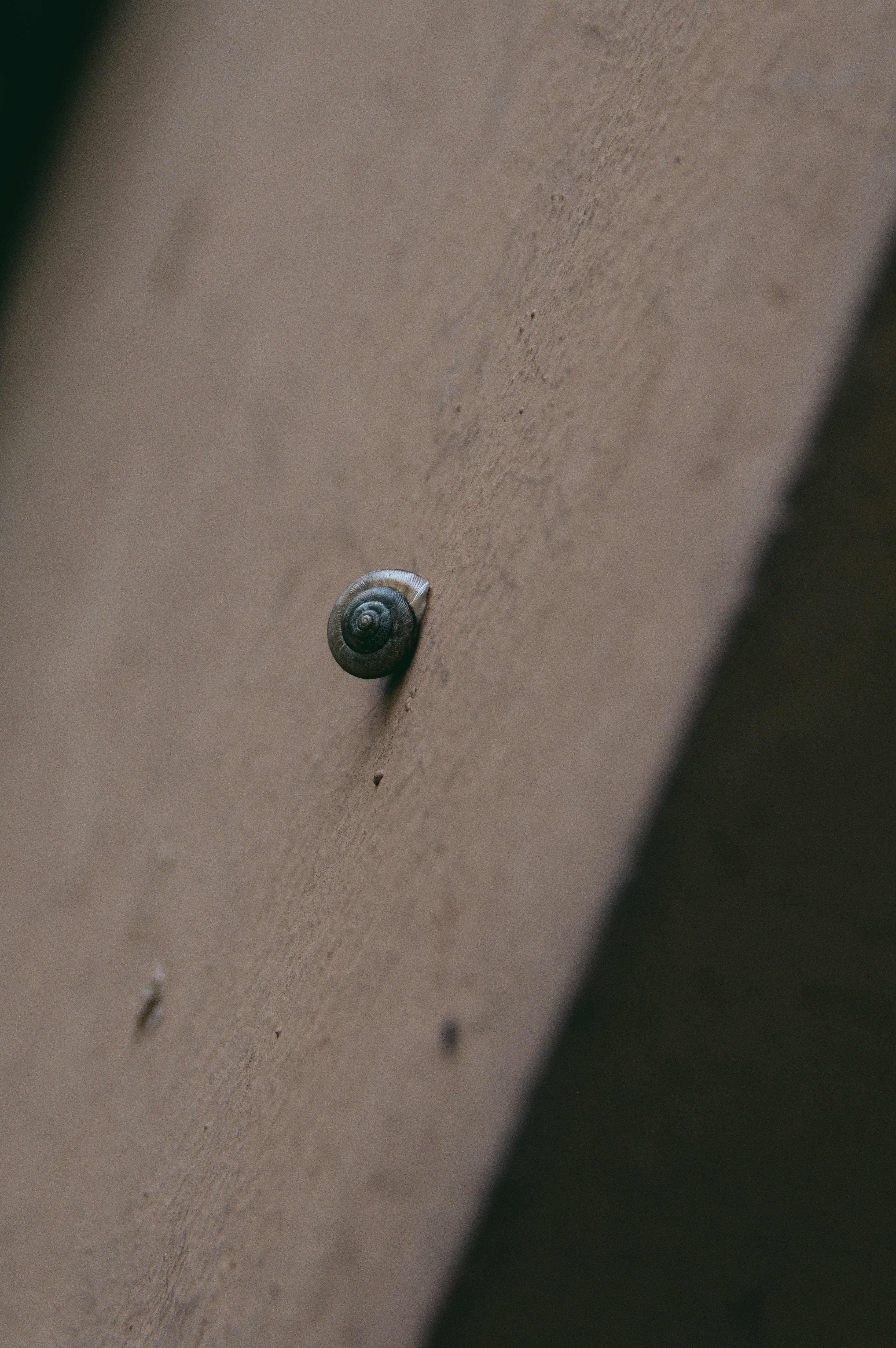 Macro photograph of a tiny screw embedded in a weathered brown surface, highlighting texture and subtle rust.