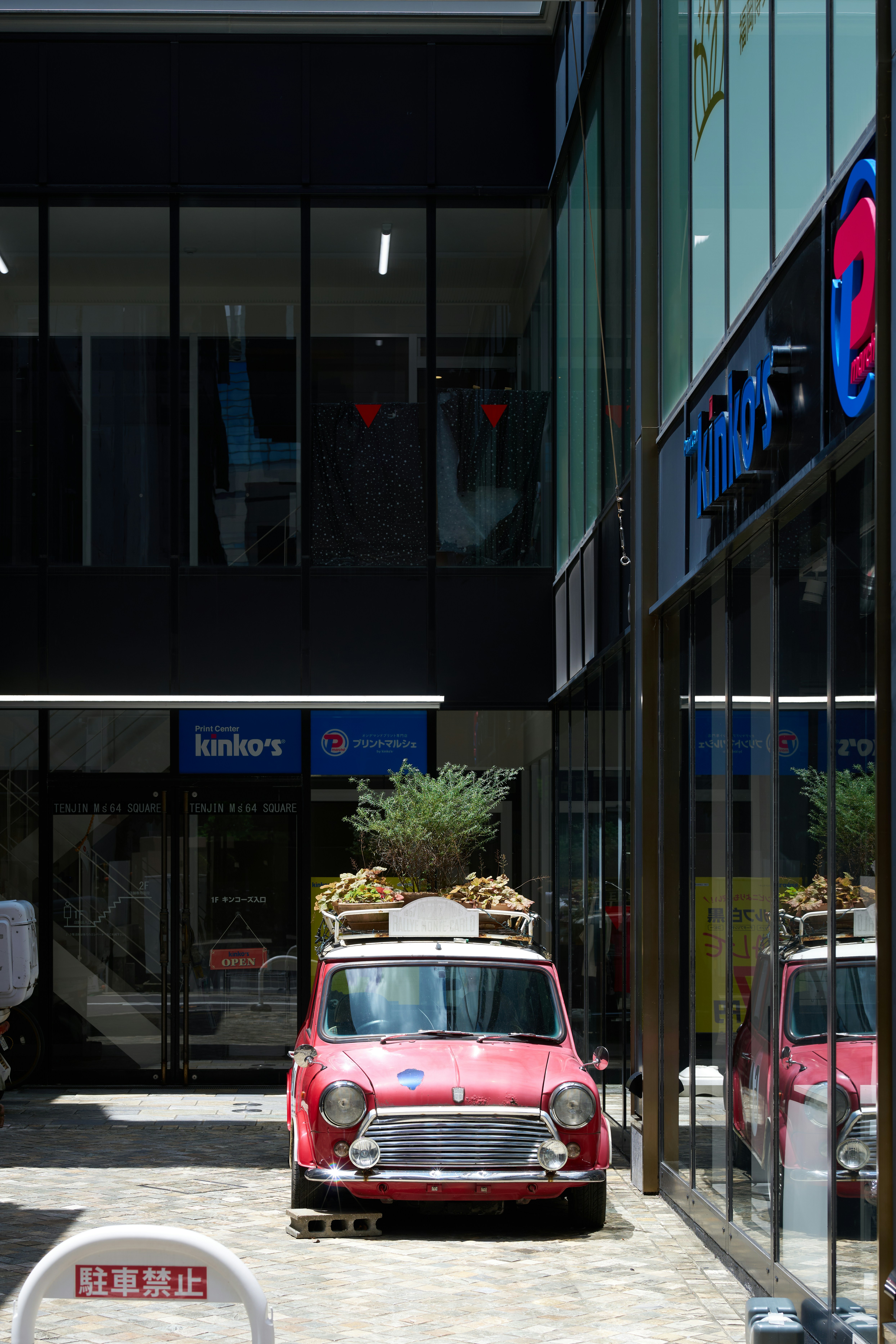 Photo by Hiroyoshi Urushima with Sony Alpha 7R V