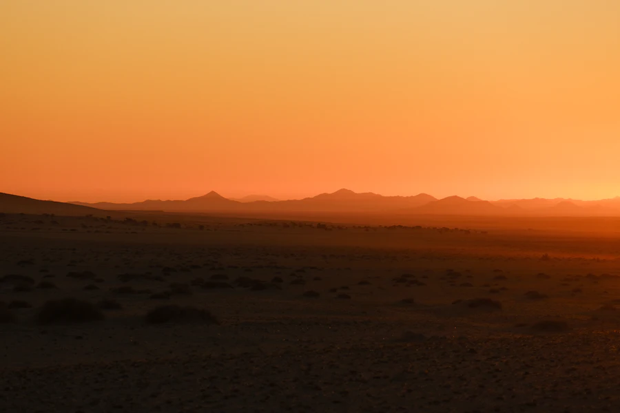 Desert landscape at sunset with a warm orange sky and distant mountain silhouettes along the horizon. The scene emphasizes vast, quiet terrain and a soft gradient of twilight.