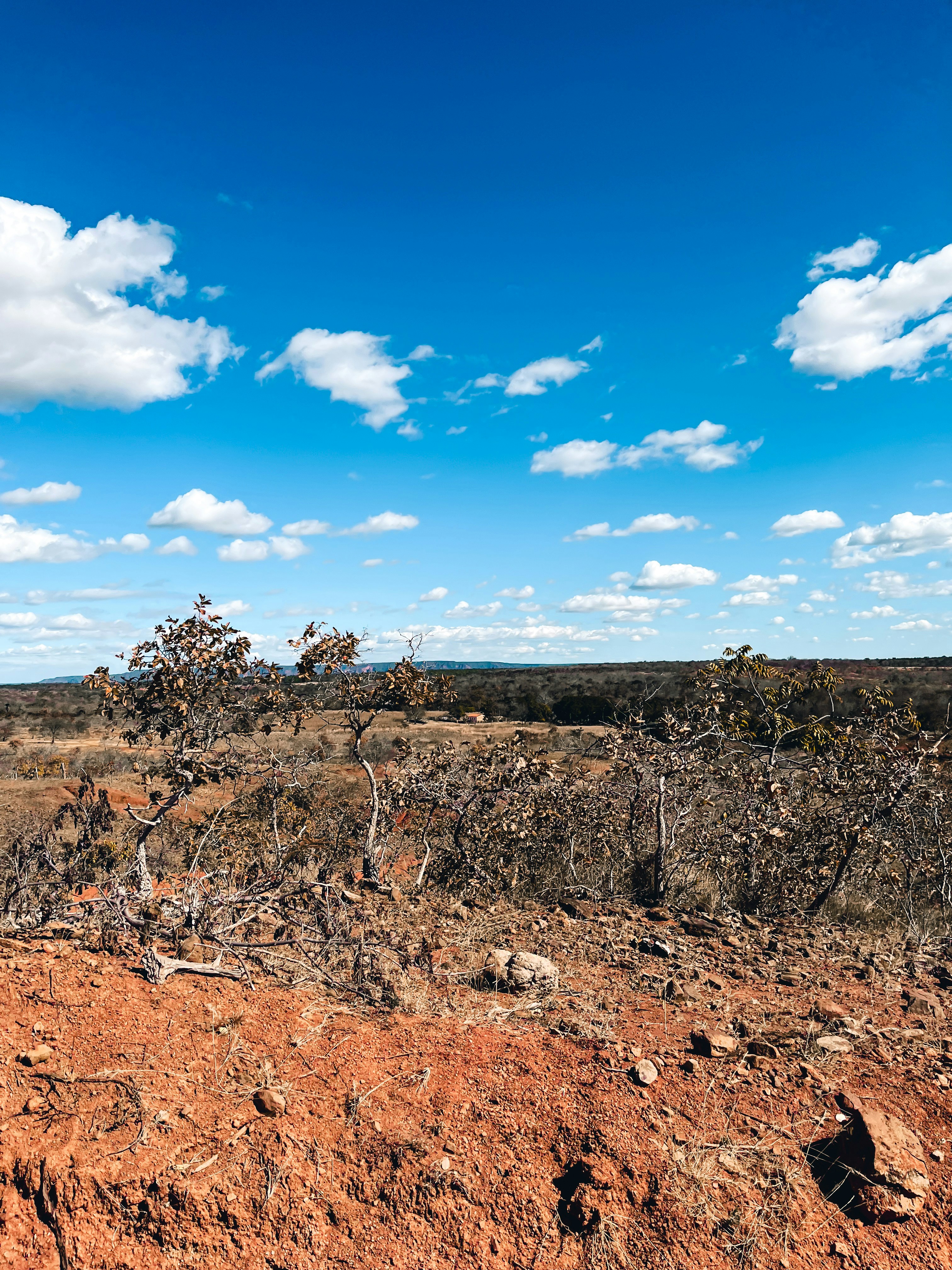 Thay Jesus (@thayjesus) | Communauté photos Unsplash