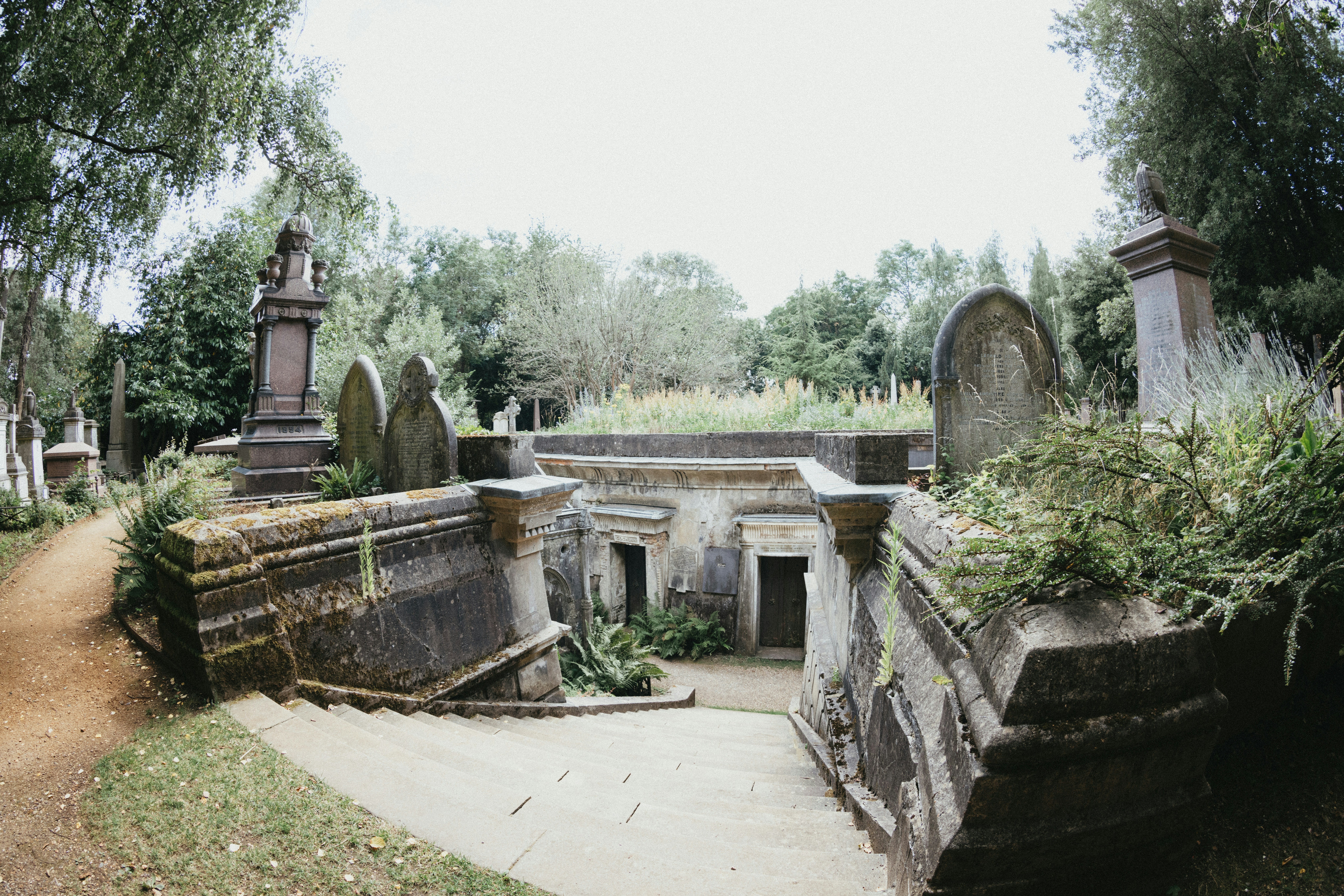 Empty Grave Pictures | Download Free Images on Unsplash