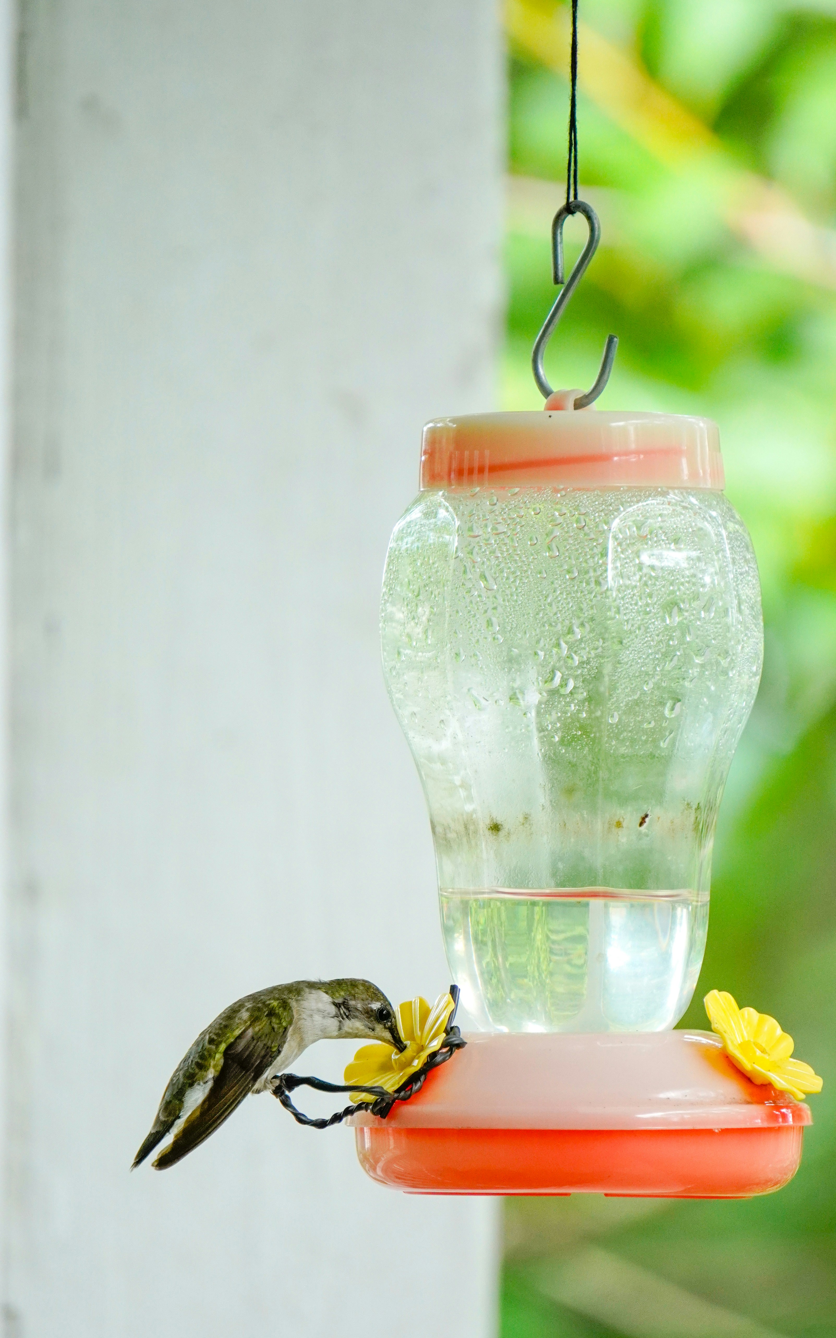 Photo by Koushalya Karthikeyan with Sony Alpha 6100