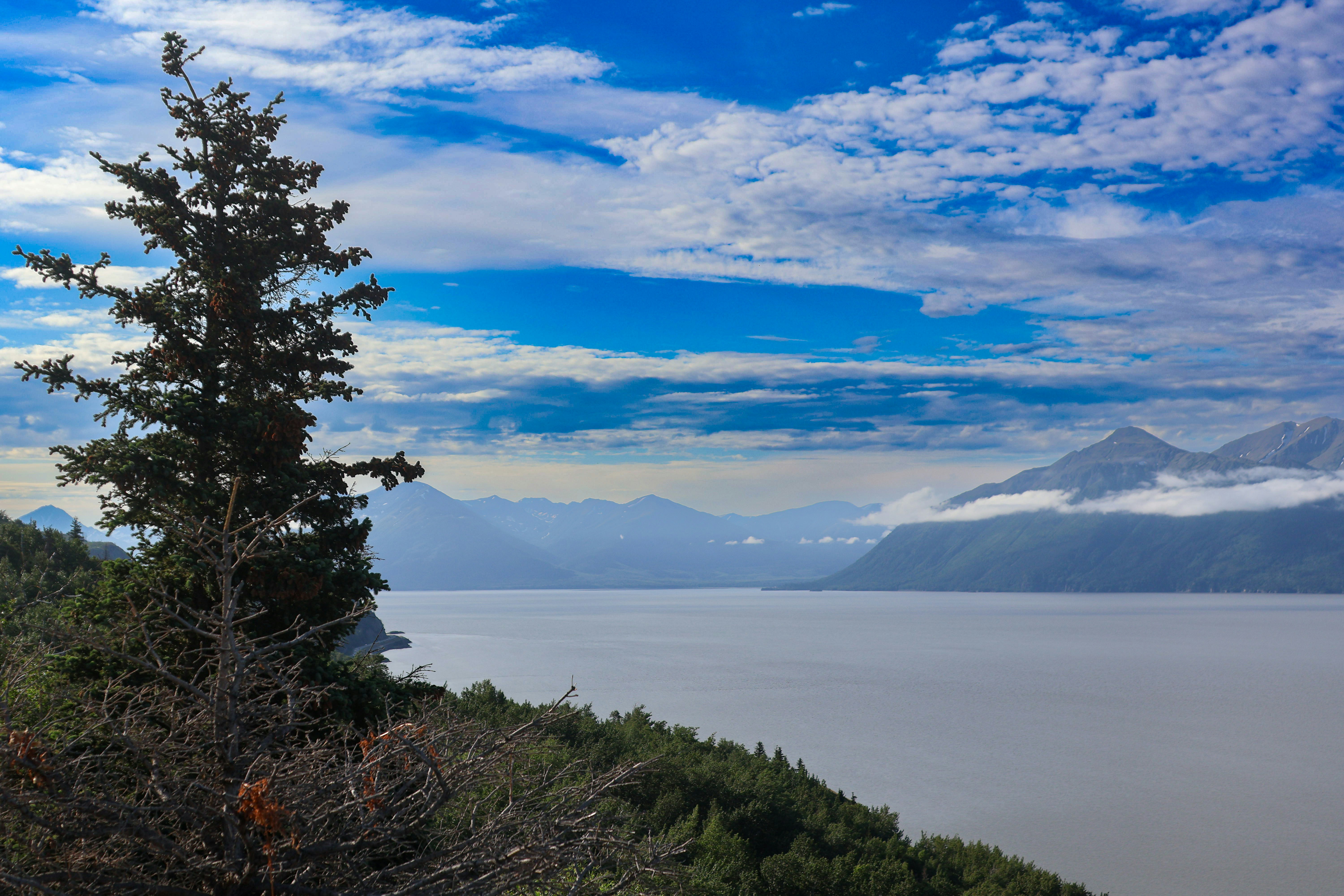 Expansive view of a tranquil lake surrounded by lush greenery and distant mountains under a vibrant blue sky with scattered clouds.