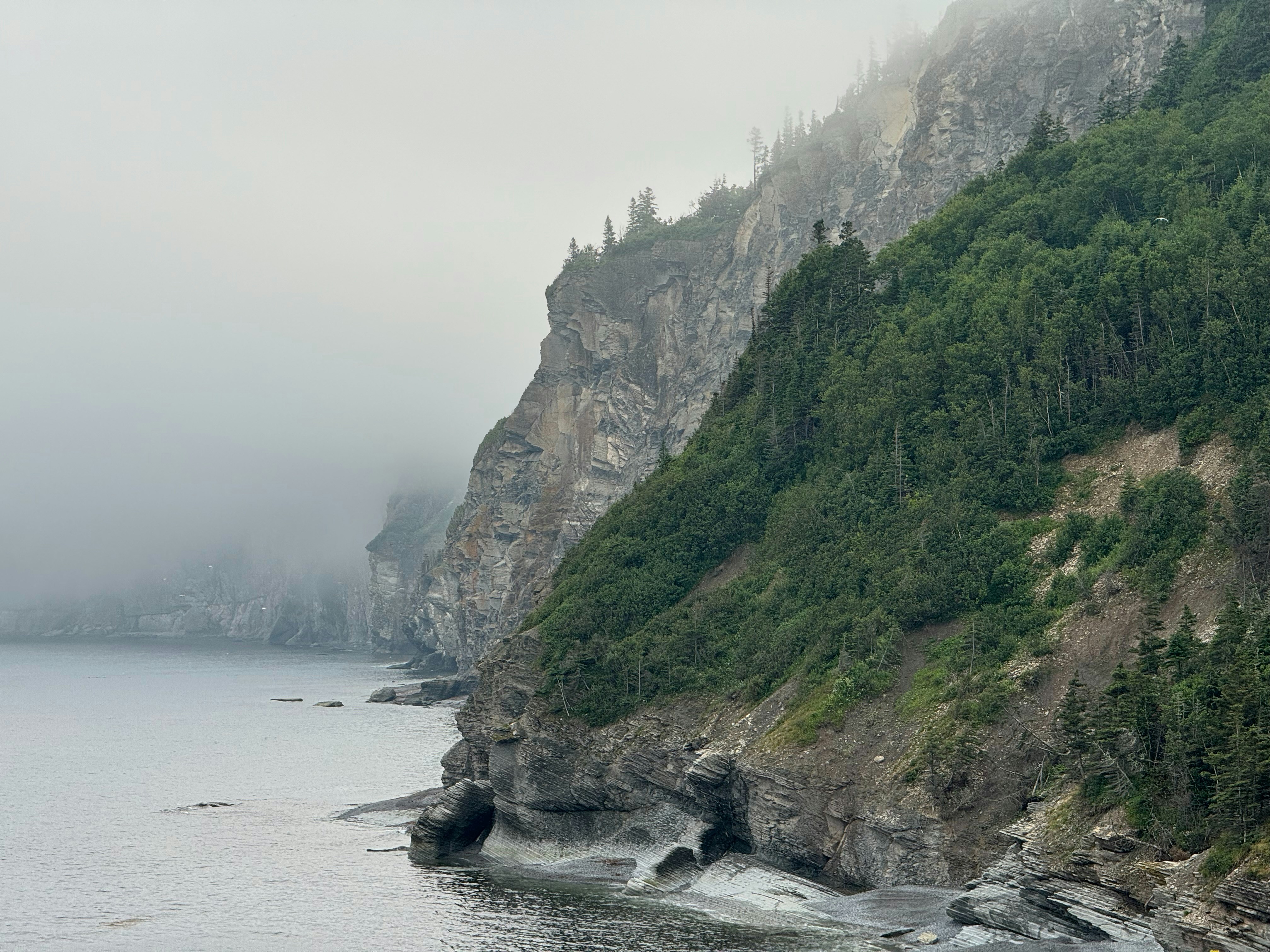 Photo by Paul Raillard with Apple iPhone 15 Pro Max