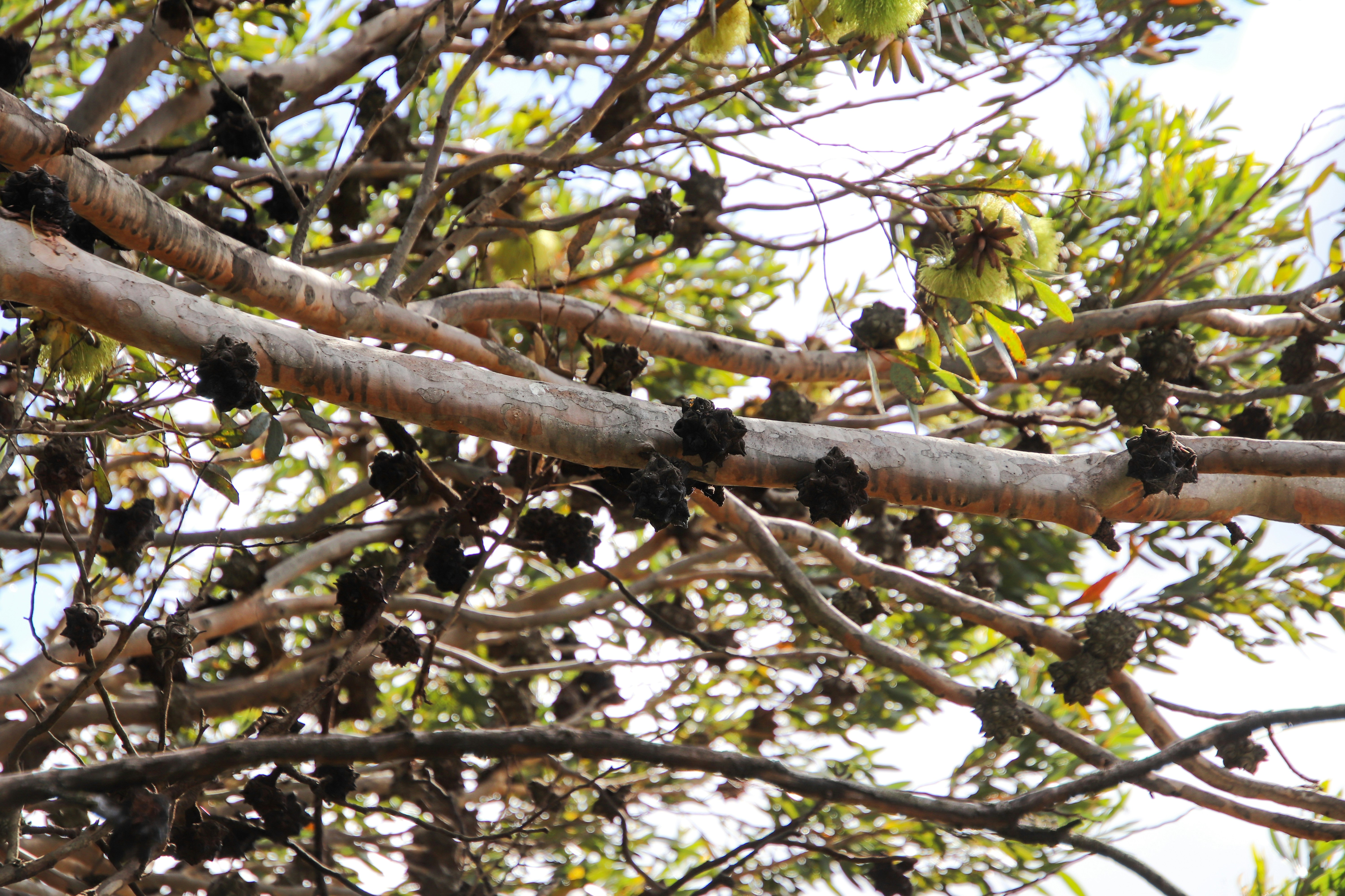 Photo by Megan Clark with Canon EOS 200D