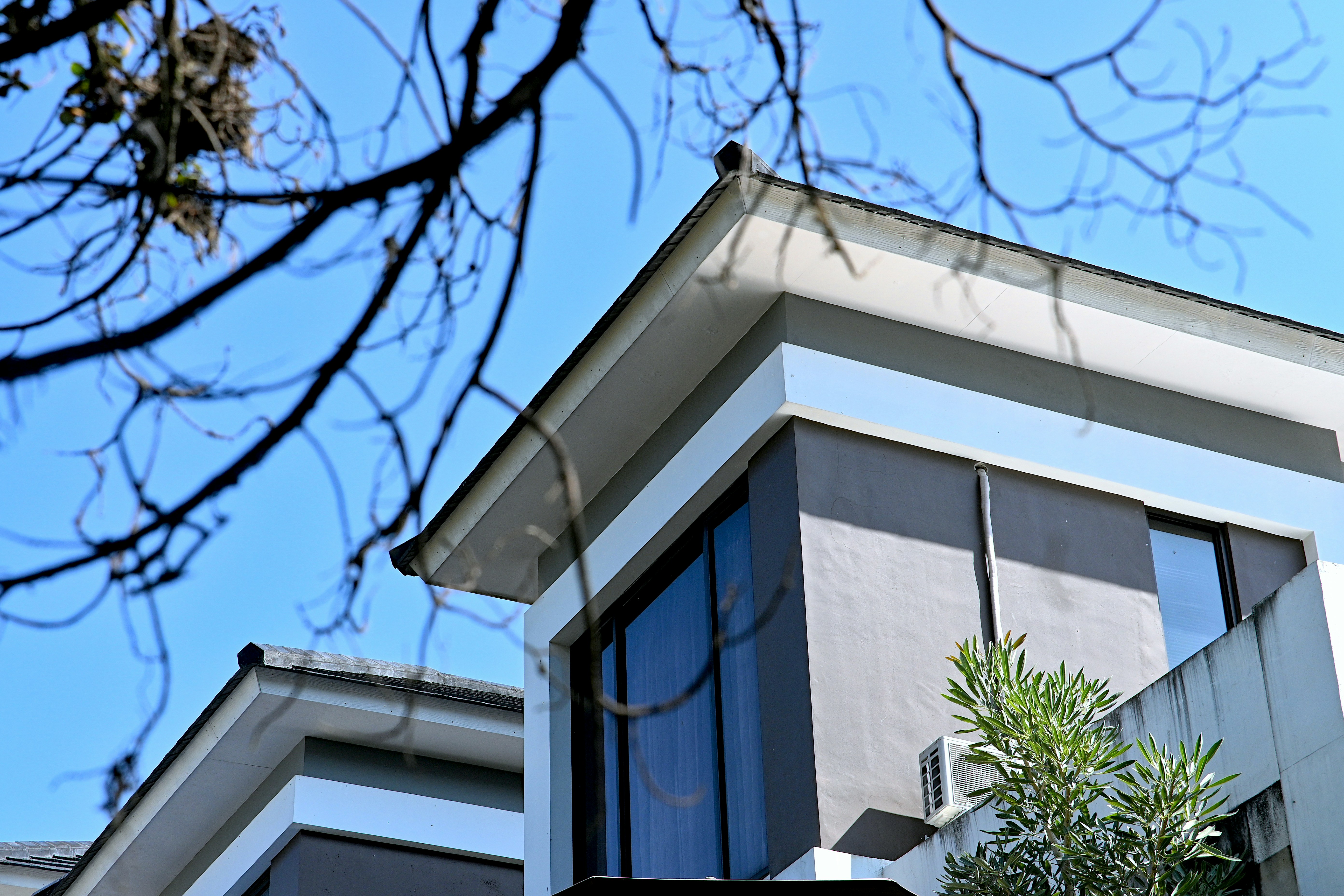 Modern building with geometric lines and large windows framed by branches, showcasing a blend of nature and architecture.
