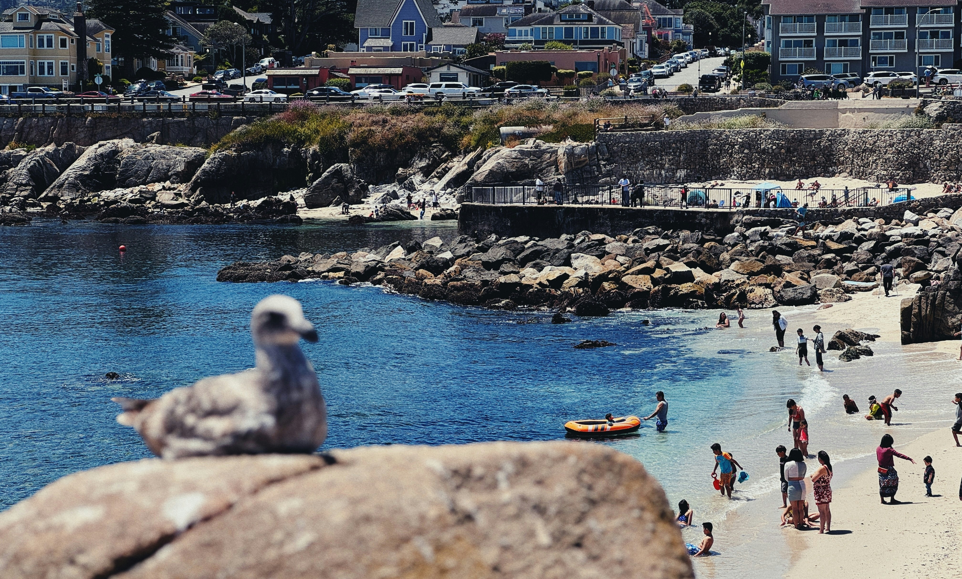 Monterey is a city on California’s rugged central coast. Its Cannery Row, one-time center of the sardine-packing industry, was immortalized by novelist John Steinbeck. Today, it's a popular strip of gift shops, seafood restaurants and bars in converted factories. Also famous is Monterey Bay Aquarium, with thousands of marine animals and plants on display in underwater and interactive exhibits.