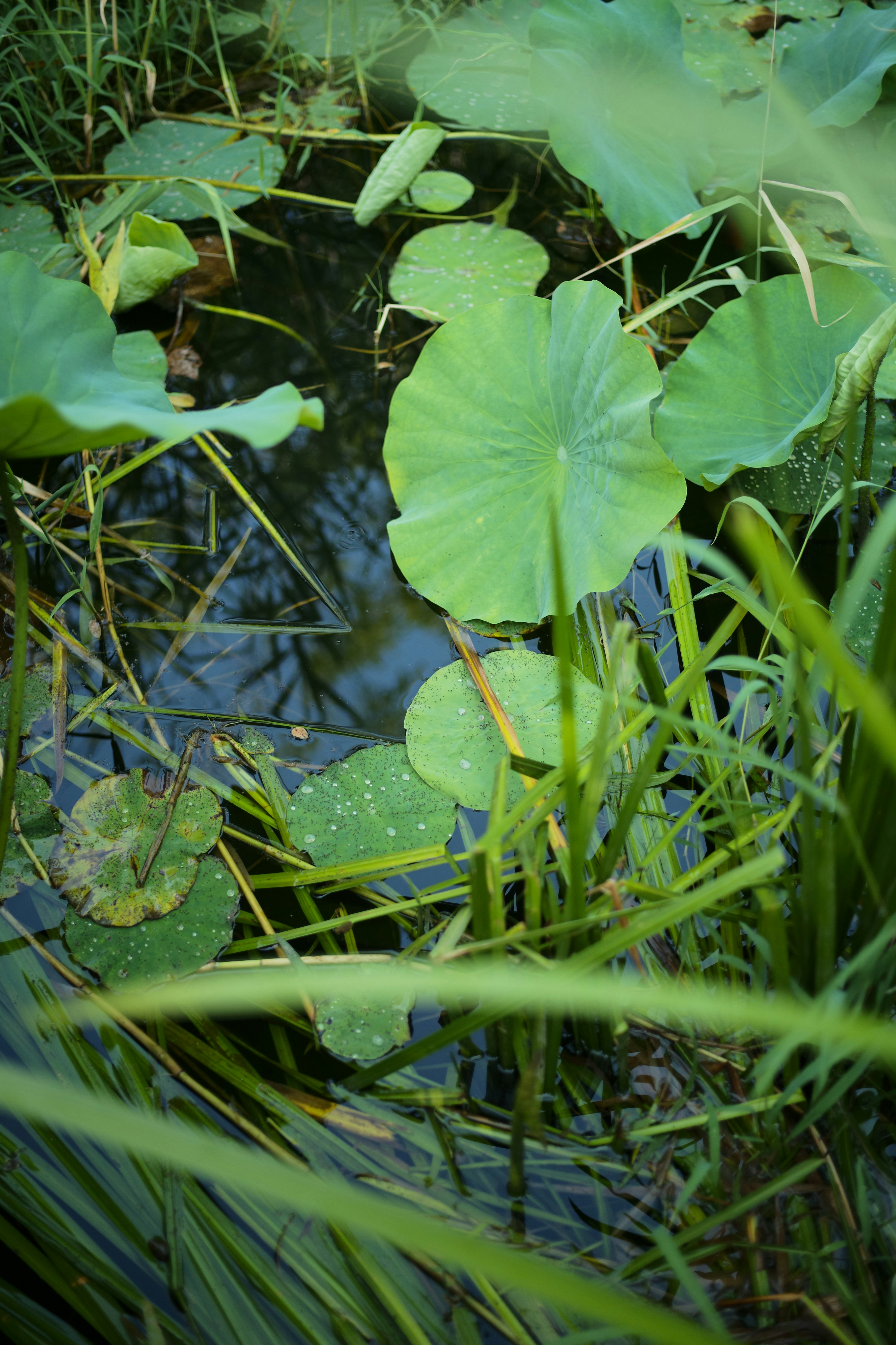 Photo by tommao wang with Leica M10-P