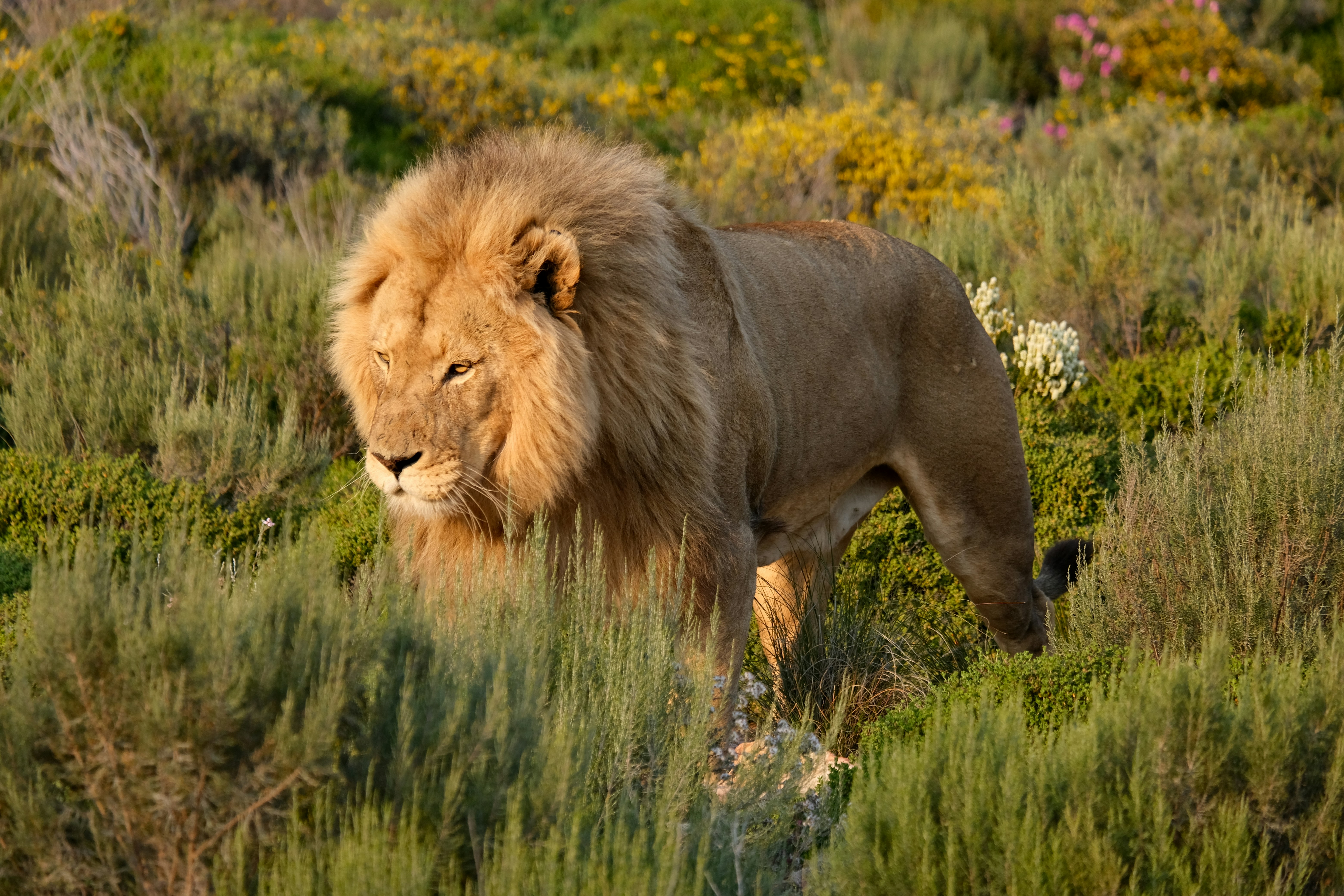 Photo by Marius Leonard with Fujifilm X-T30 II