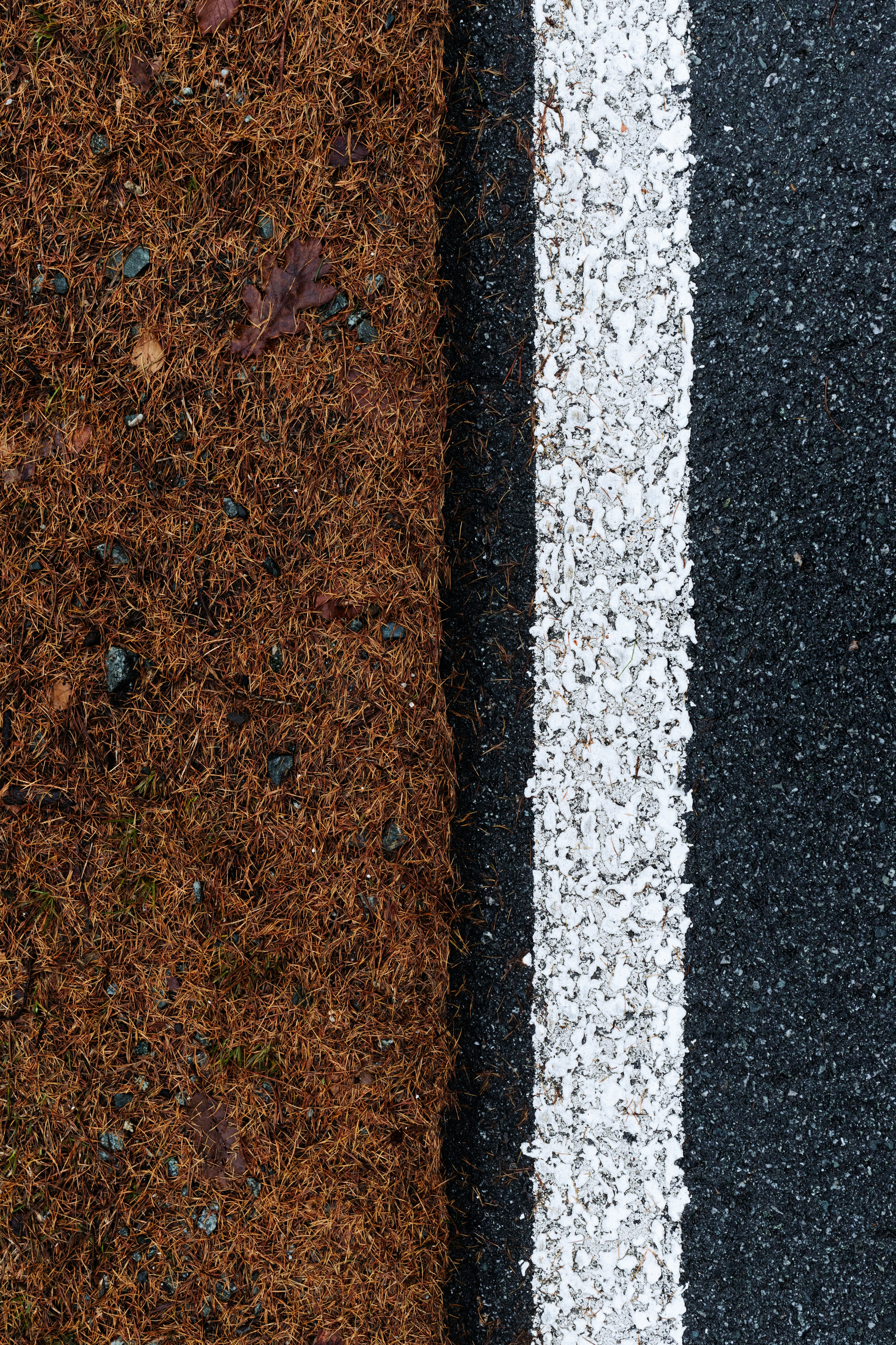 Between Textures: The White Stripe Splitting Brown Ground and Asphalt