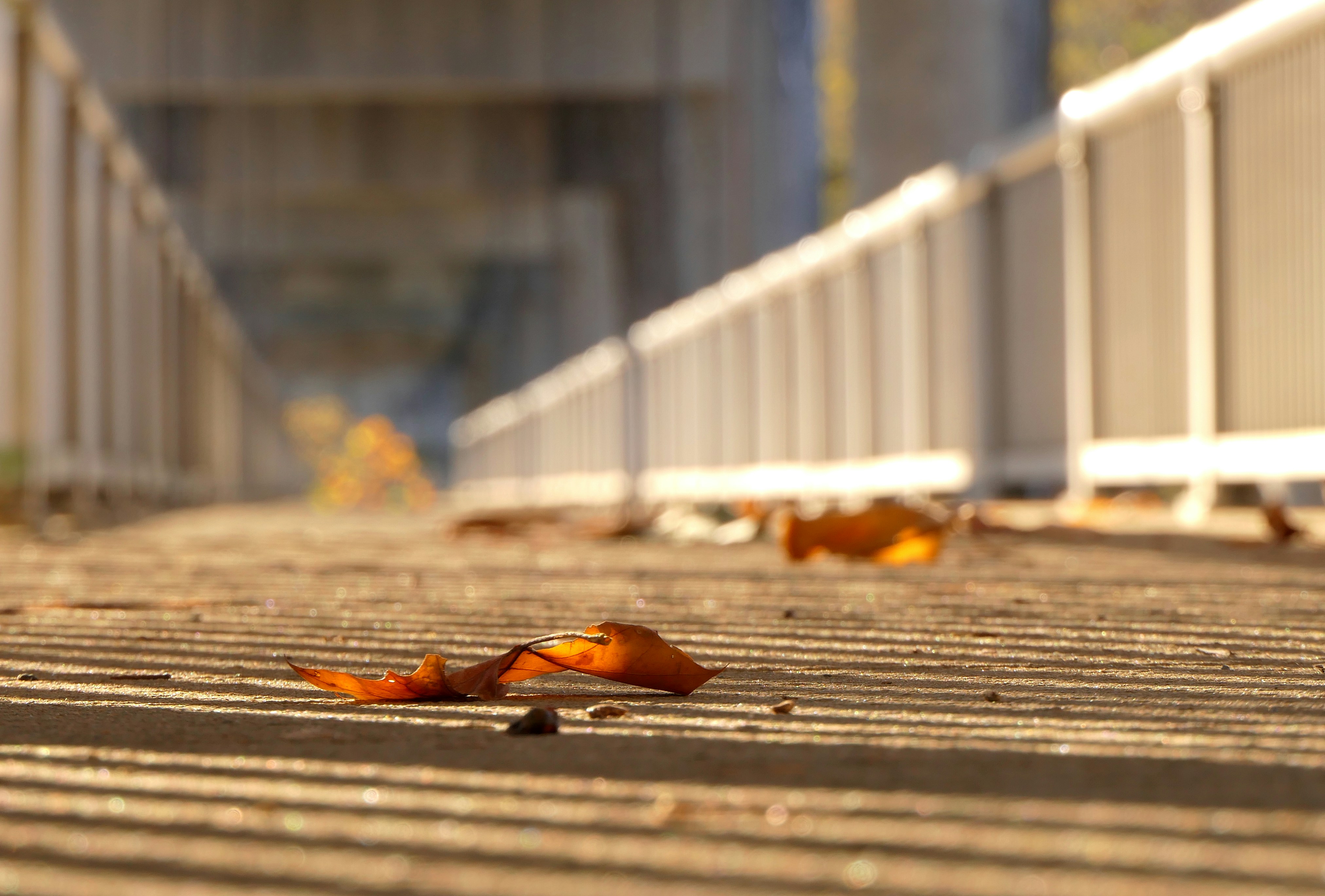 lines and shadows on a bridge