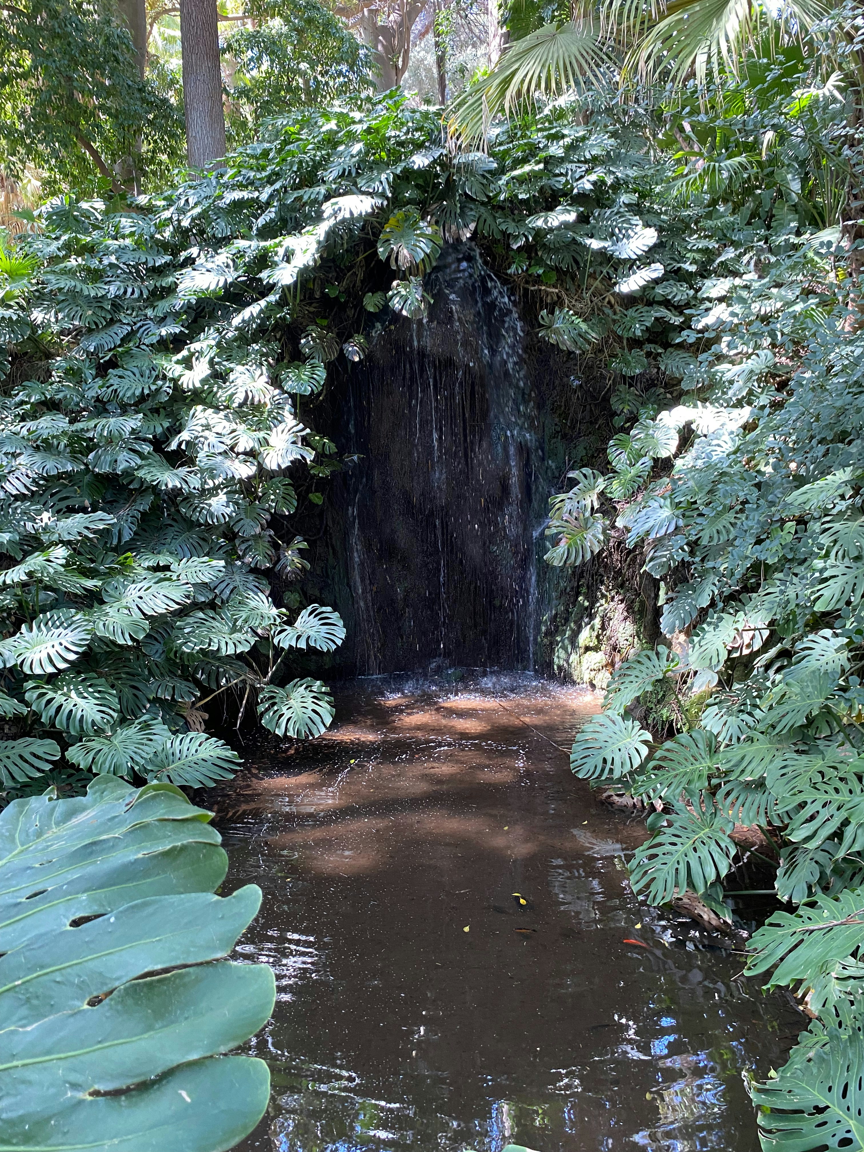 A small waterfall in the middle of a forest
