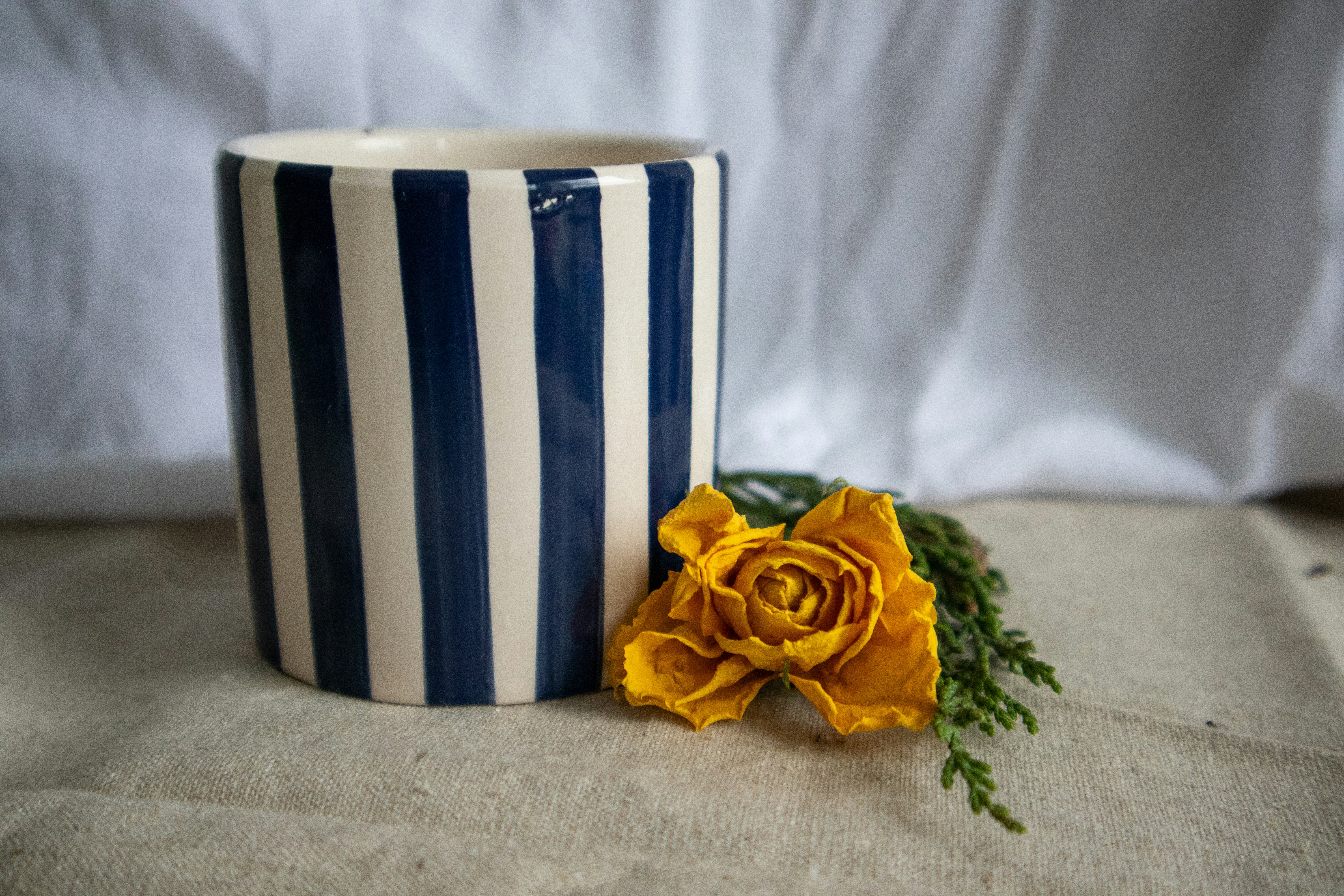 Vertical Stripes and Golden Bloom: A Quiet Still Life