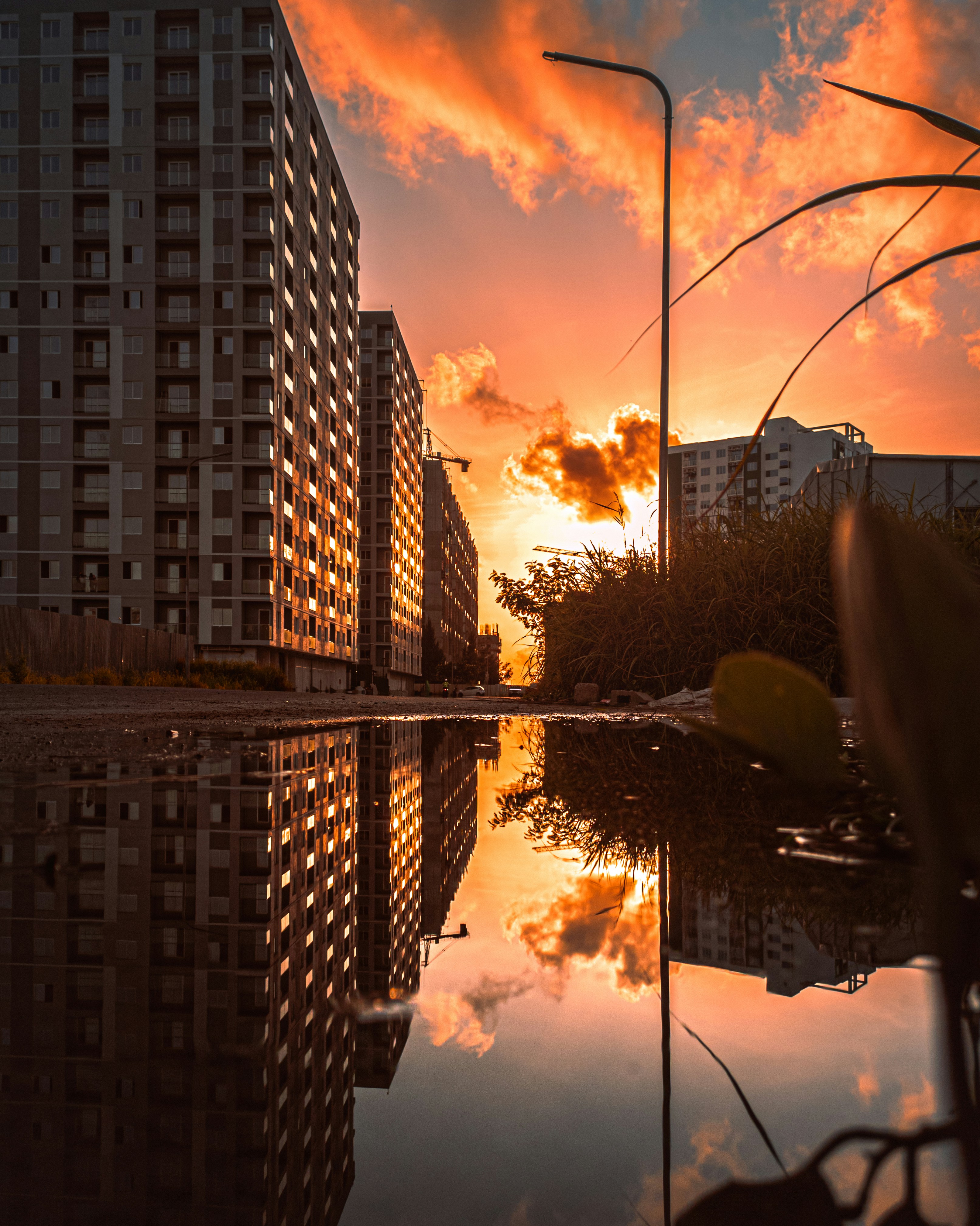 Sunset reflected on a puddle of water on the side of the street.