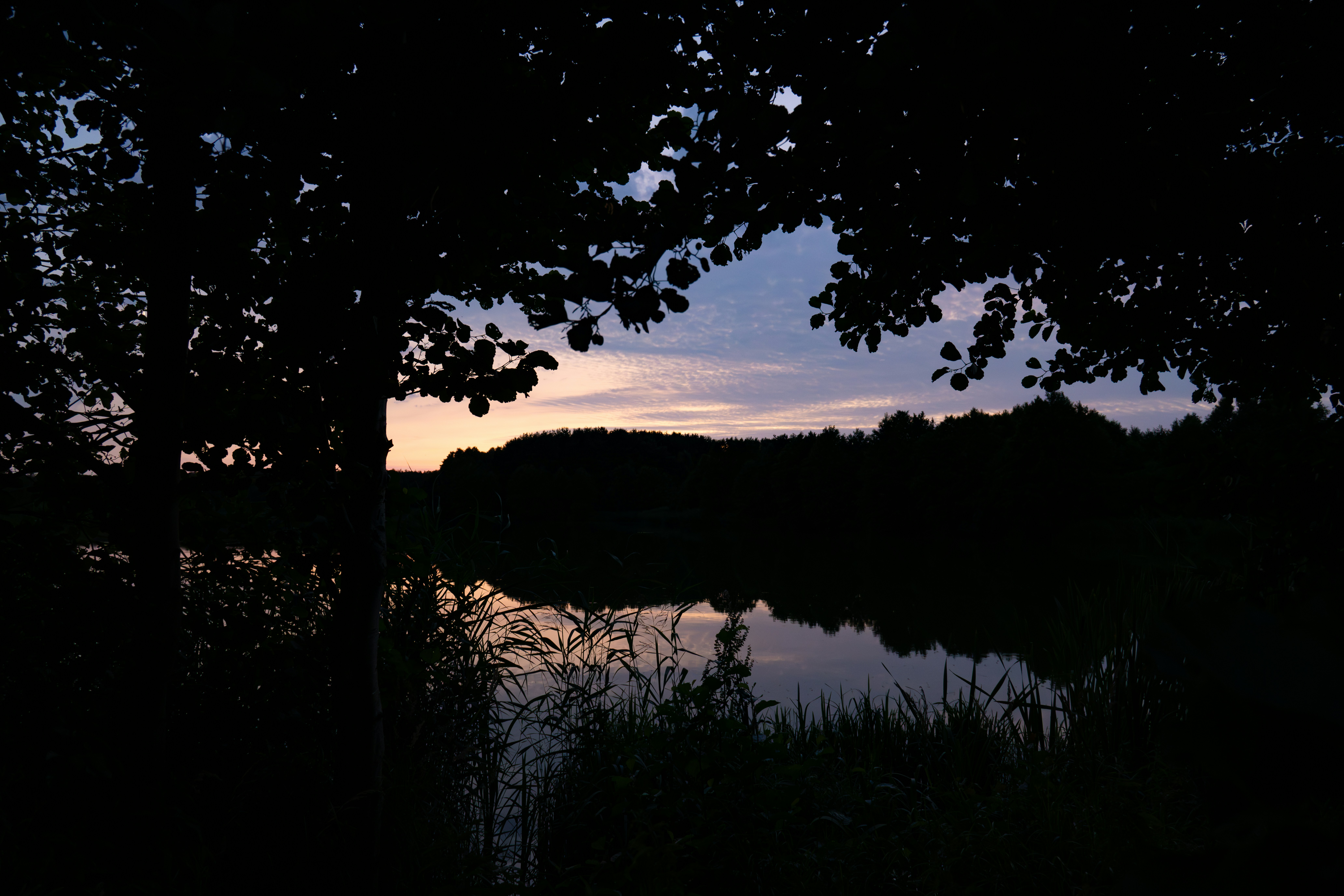 Silhouette of trees framing a calm lake at dusk, with soft pastel colors reflecting on the water's surface.
