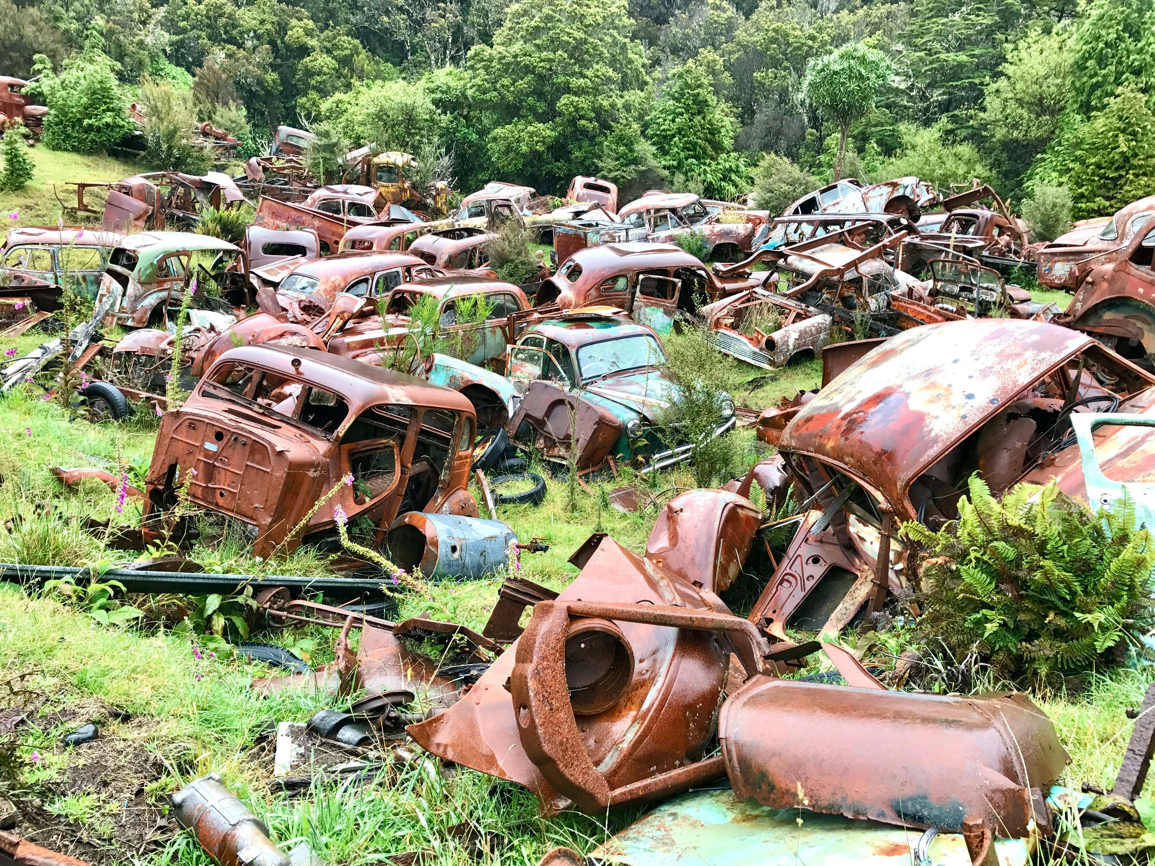 Rusting Field of Quiet Echoes