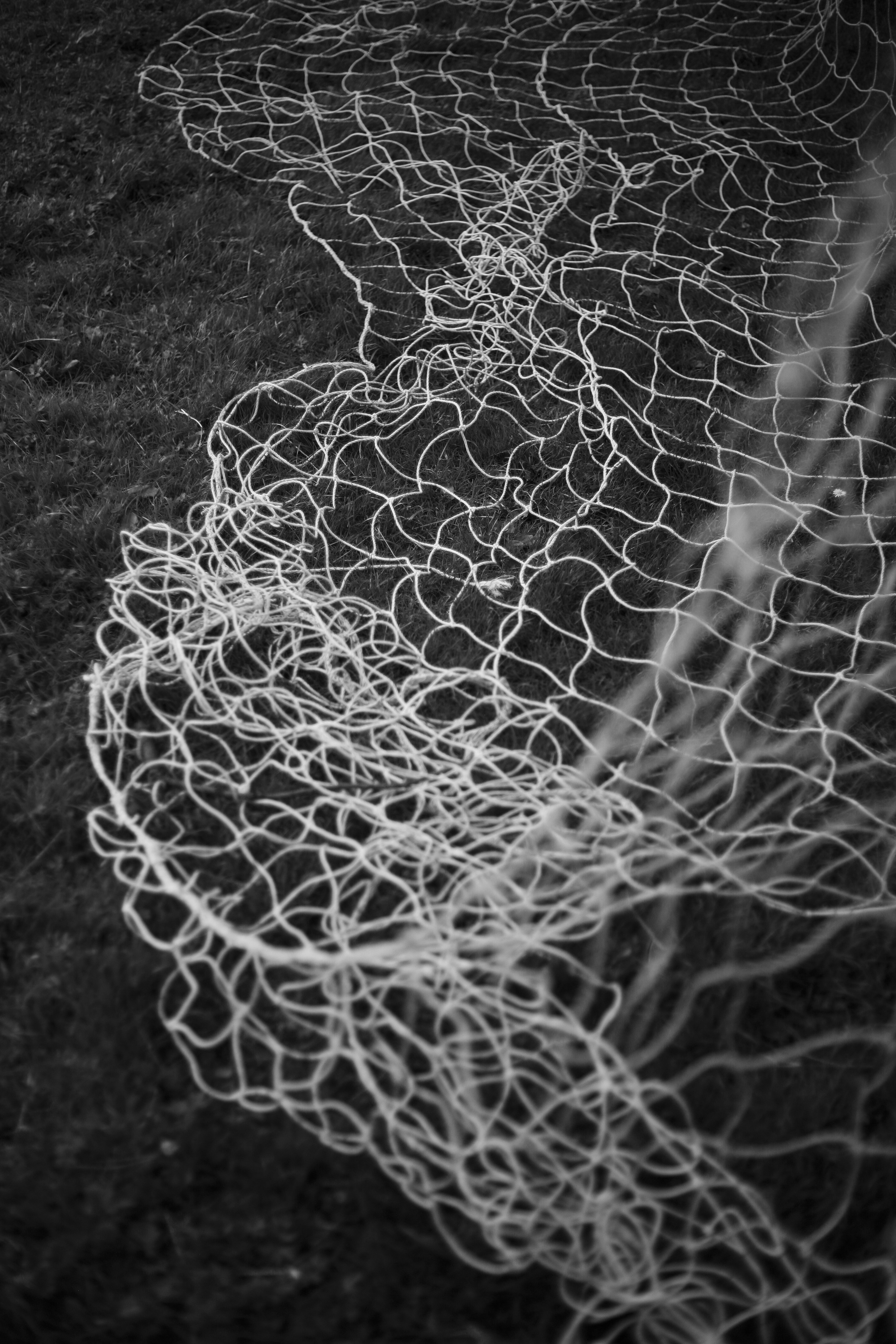 Entangled Wirescape: Close-Up of Looping Mesh on Shadowed Ground